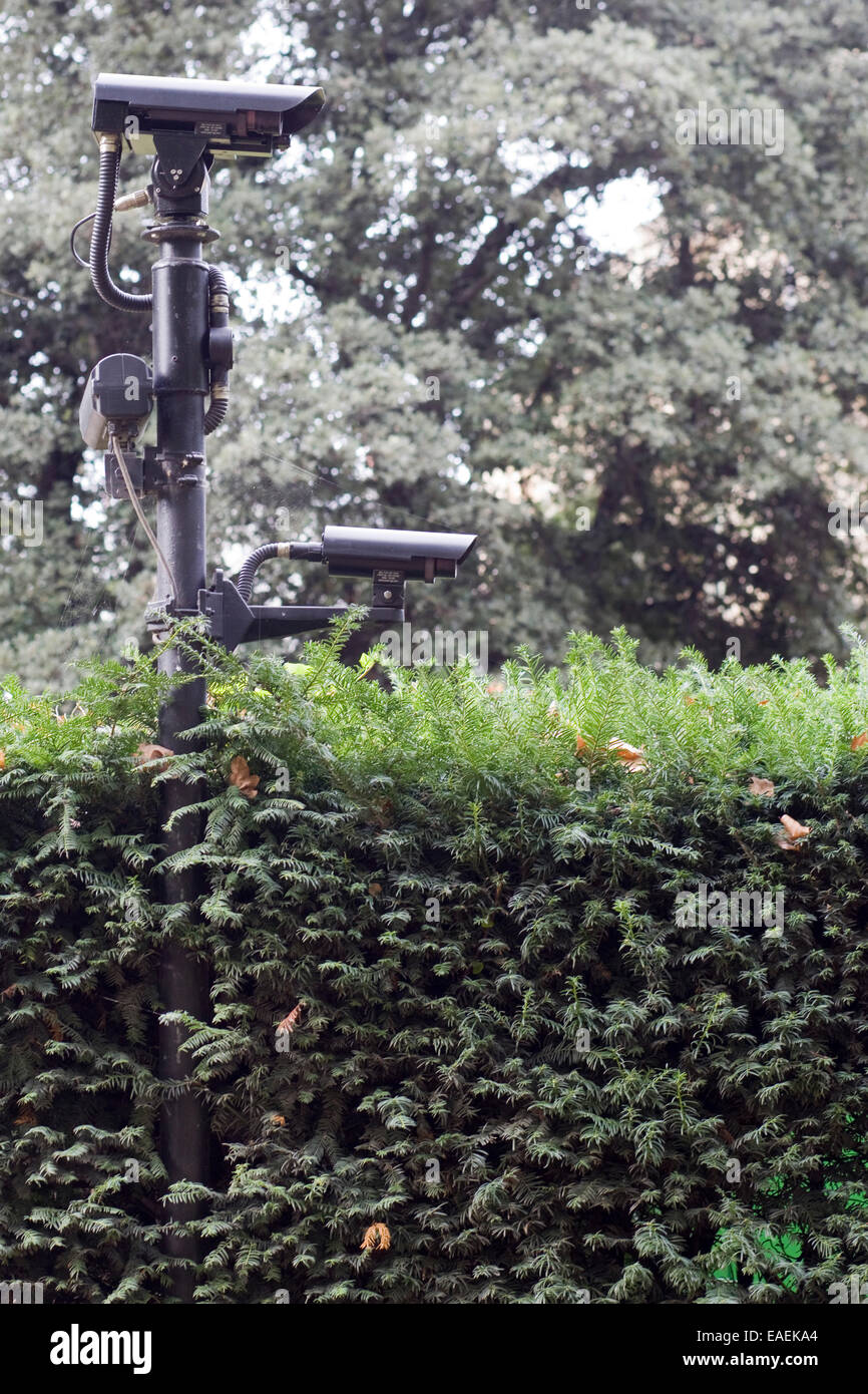 Security camera on a hedge Stock Photo - Alamy