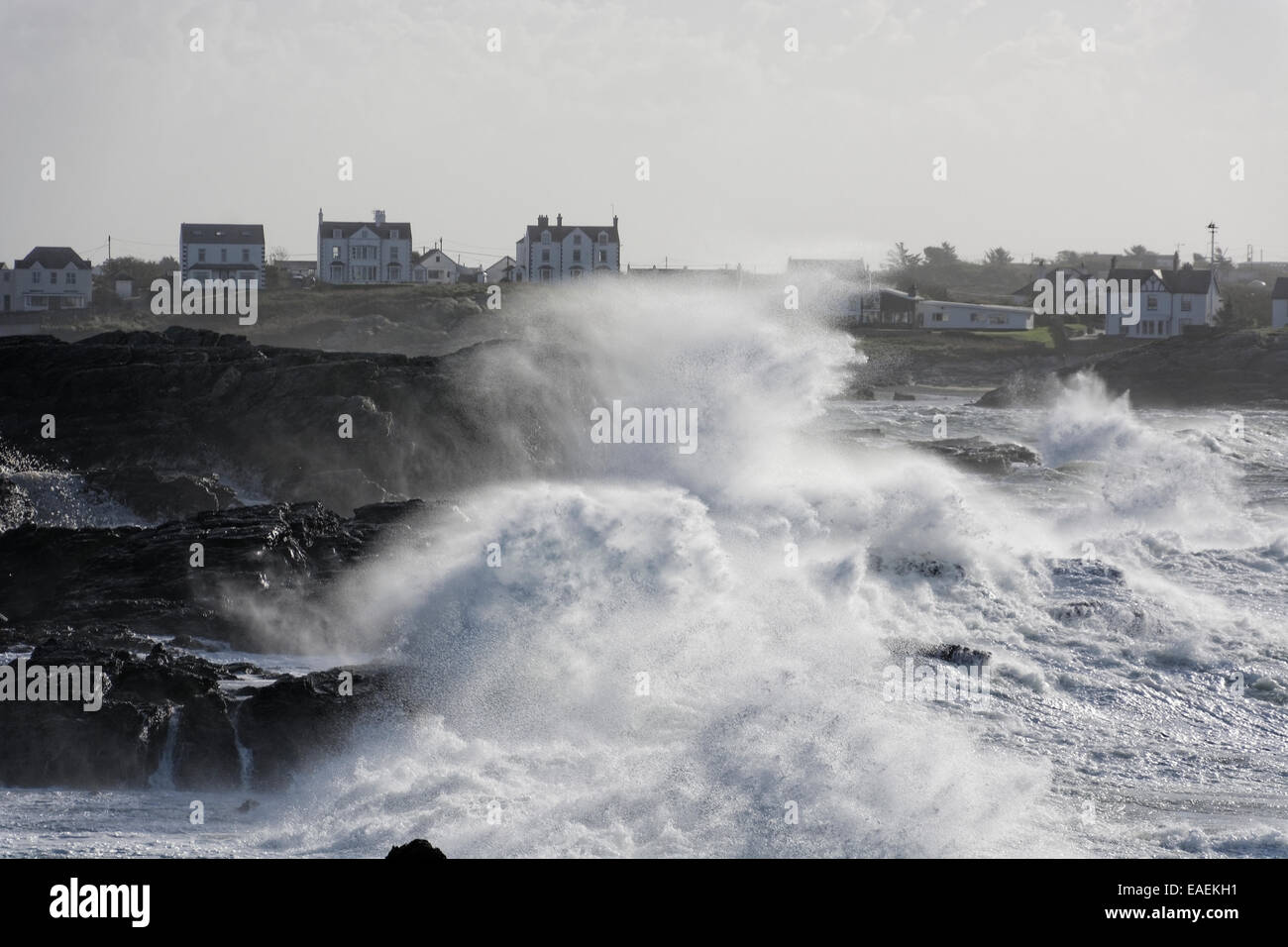 Anglesey sea salt hi-res stock photography and images - Alamy