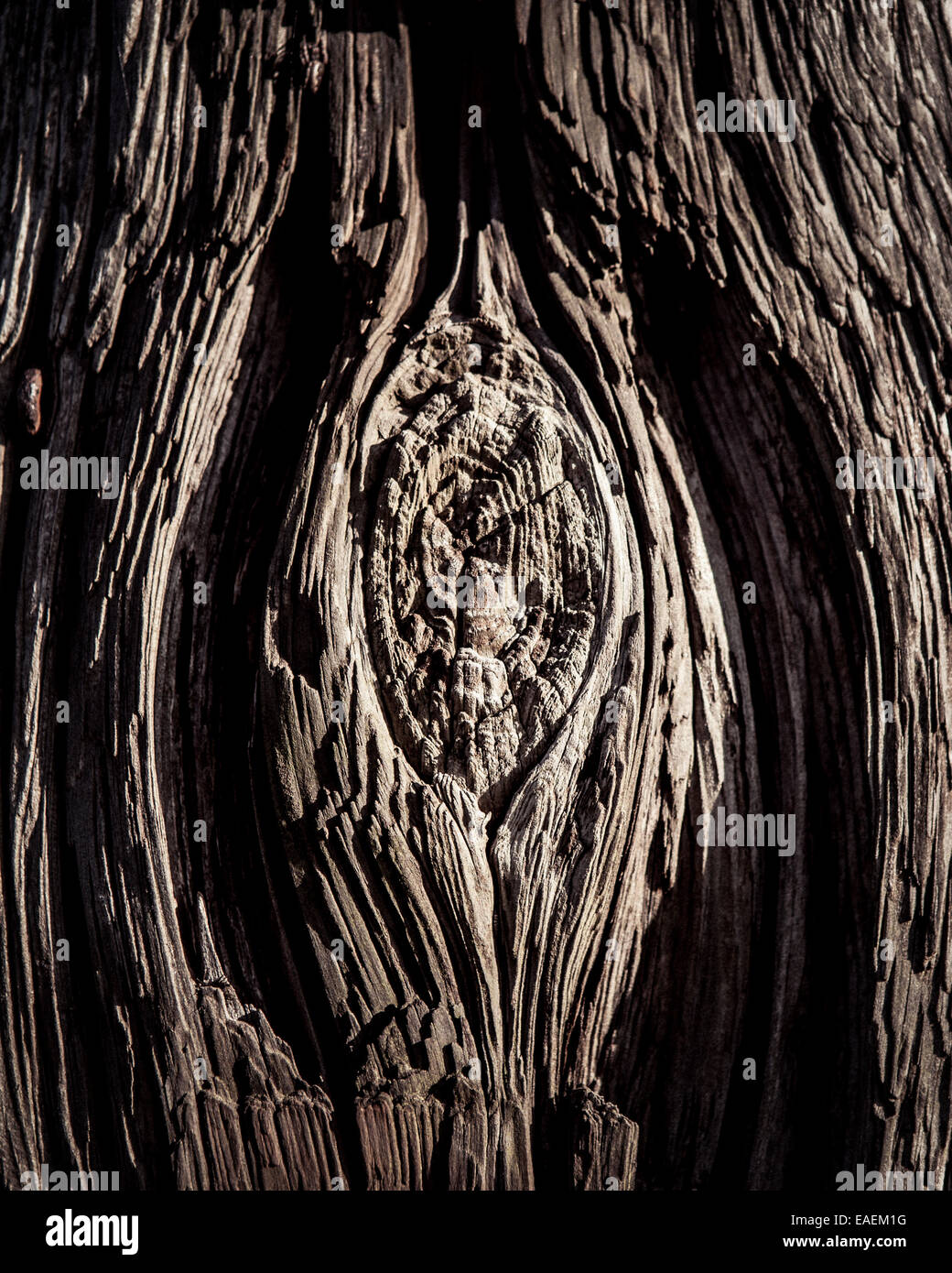 Weathered wooden fence post detail Stock Photo - Alamy