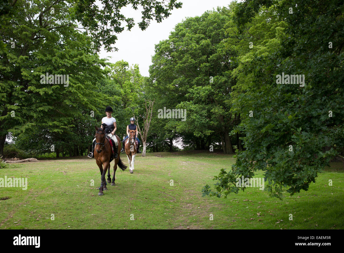 Two girls horse riding in Epping Forest, an area of ancient woodland in ...