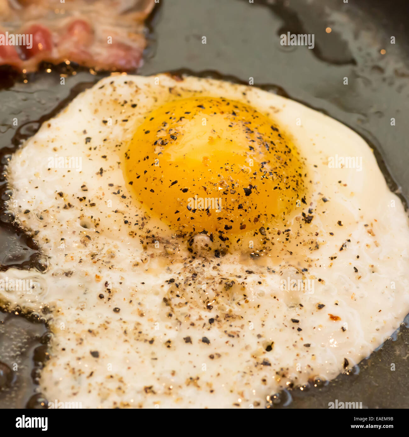 A greasy breakfast of fried bacon and an egg frying in a frying pan ...
