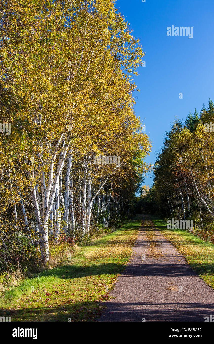 Trans Canada Trail, or known as the Confederation Trail that runs the ...