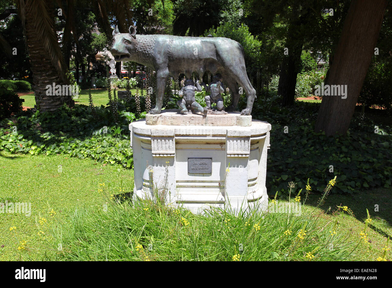 Wolf park neighborhood hi-res stock photography and images - Alamy