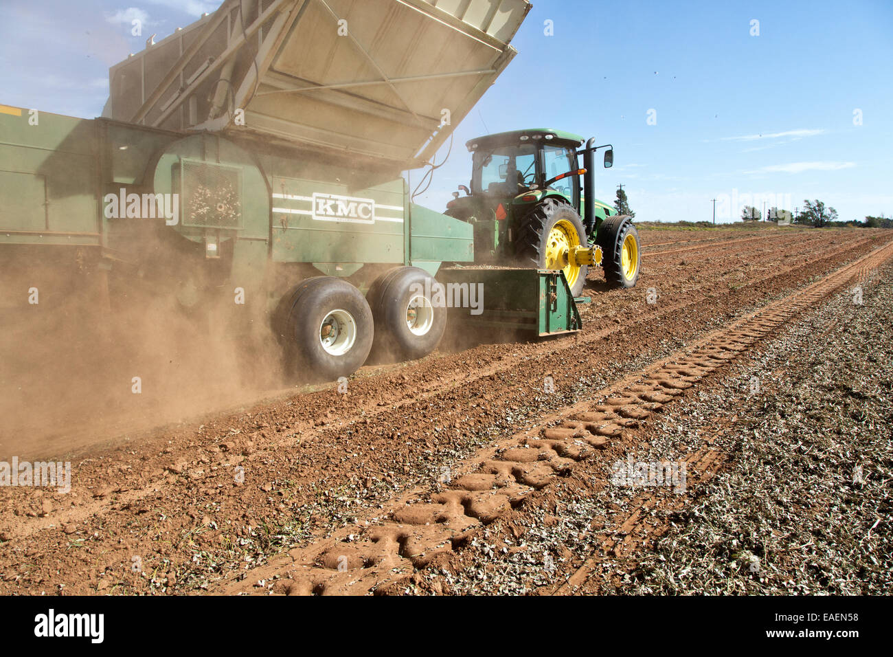 John Deere tractor harvesting inverted 'spanish' peanuts Stock Photo ...