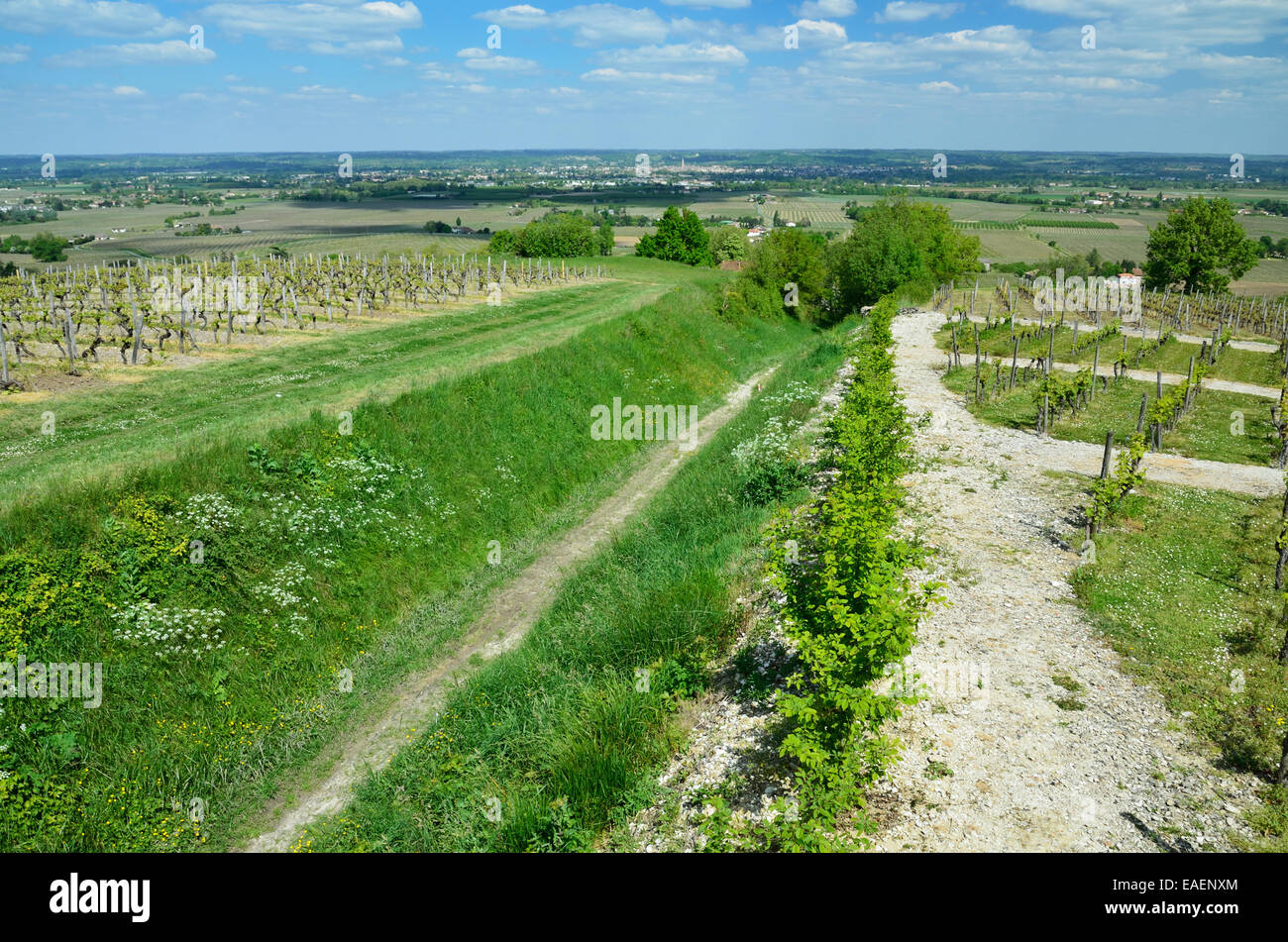 French rural landscape with vineyards Stock Photo - Alamy