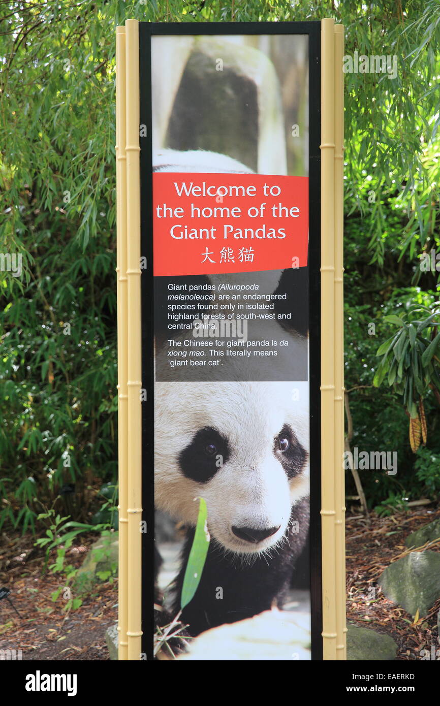 Signs for the Giant Pandas enclosure in Edinburgh Zoo, Scotland, UK ...