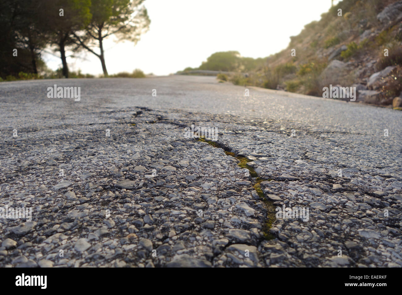 Low view of cracked tarmac lifted by tree roots road in mountains of ...