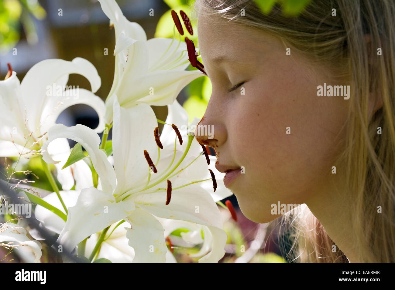 little caucasian girl smelling white lily flowers profile closeup Stock ...