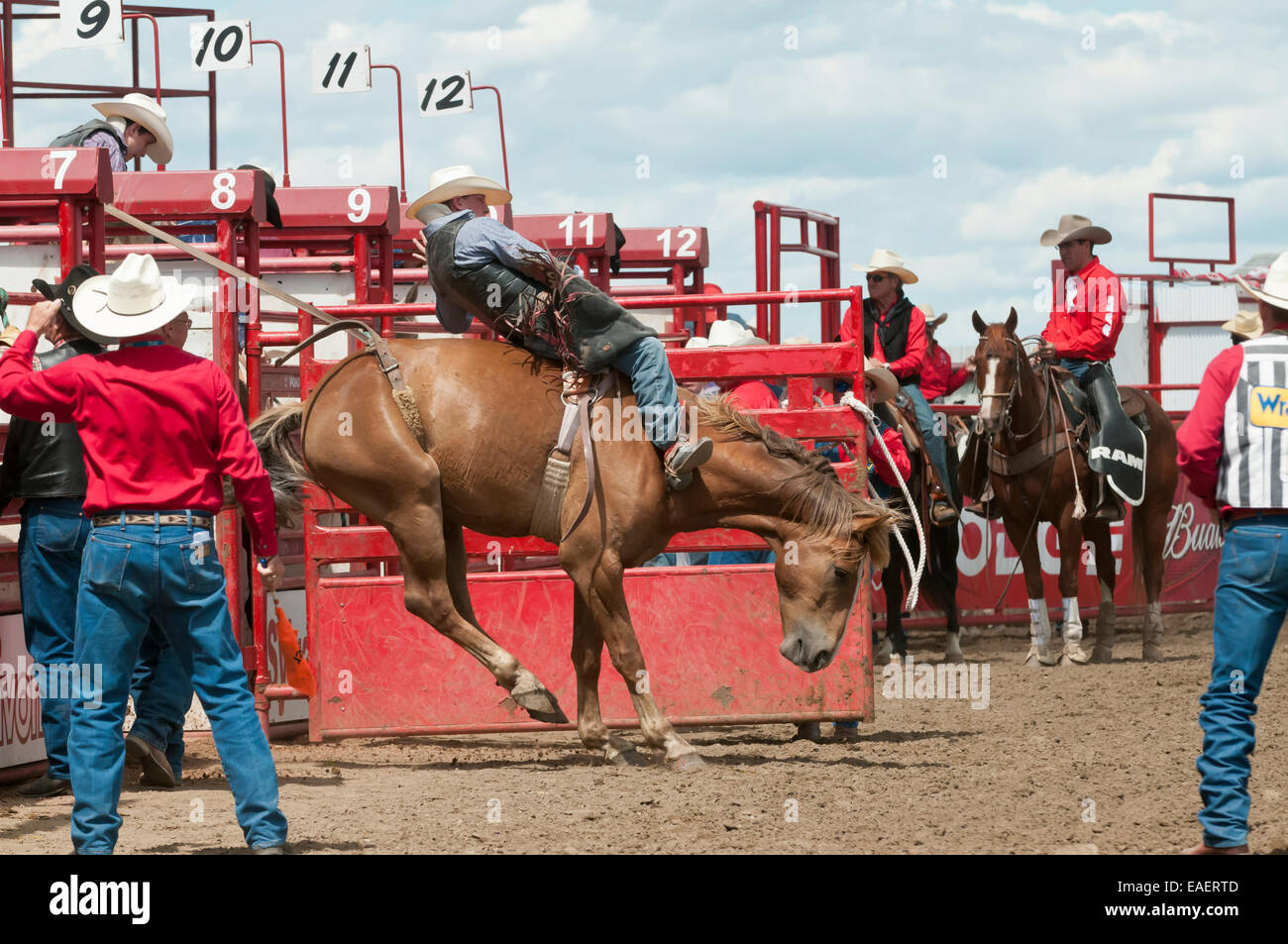Bareback Bronc Riding Stock Photos & Bareback Bronc Riding Stock Images ...