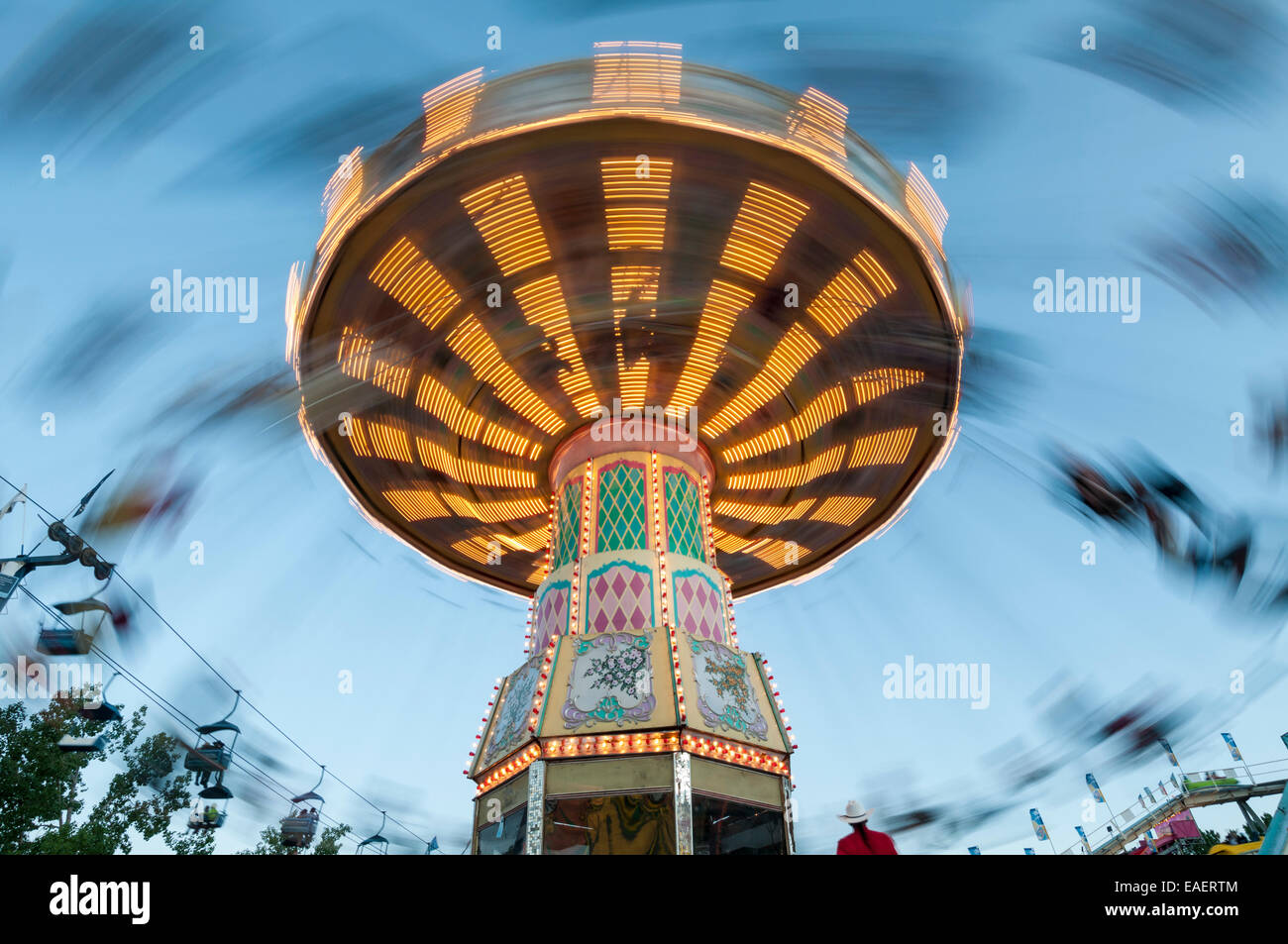 Michelle gilders pattern hi-res stock photography and images - Alamy