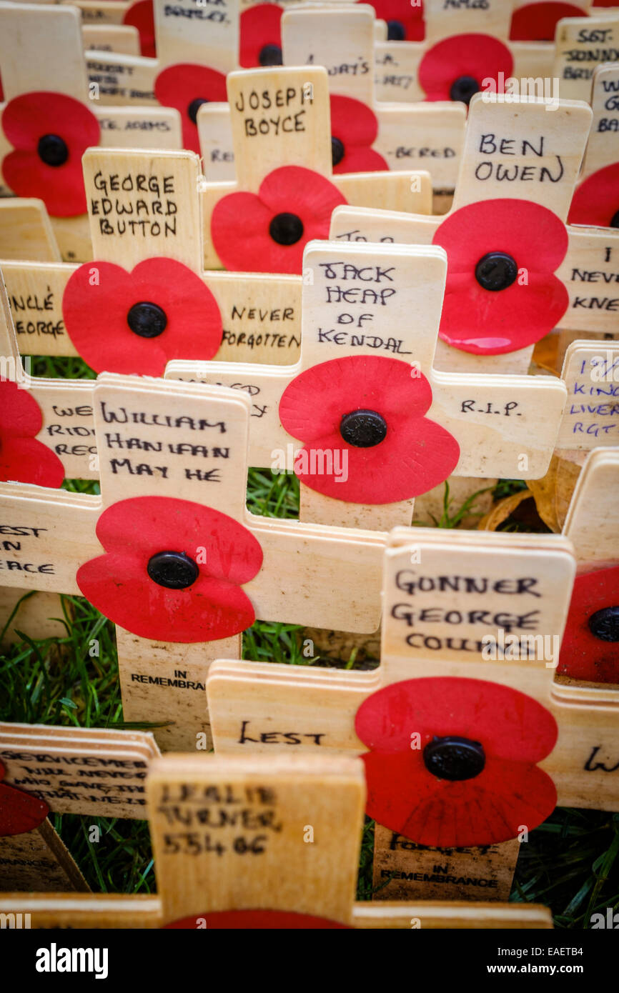 Westminster Field of Remembrance, Westminster Abbey, London, UK Stock ...
