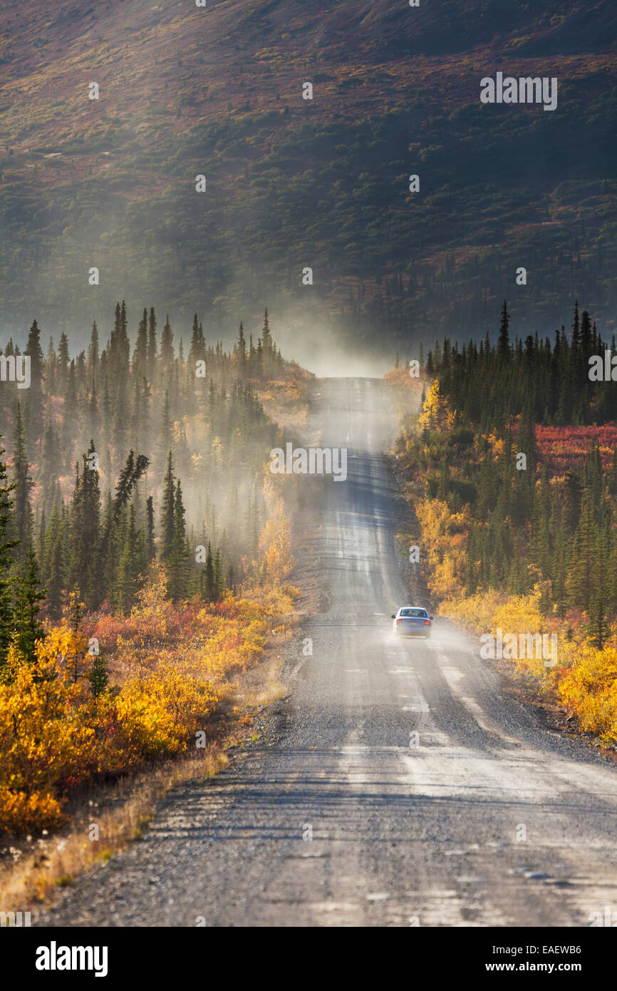 Drunken forest and alaska hi-res stock photography and images - Alamy