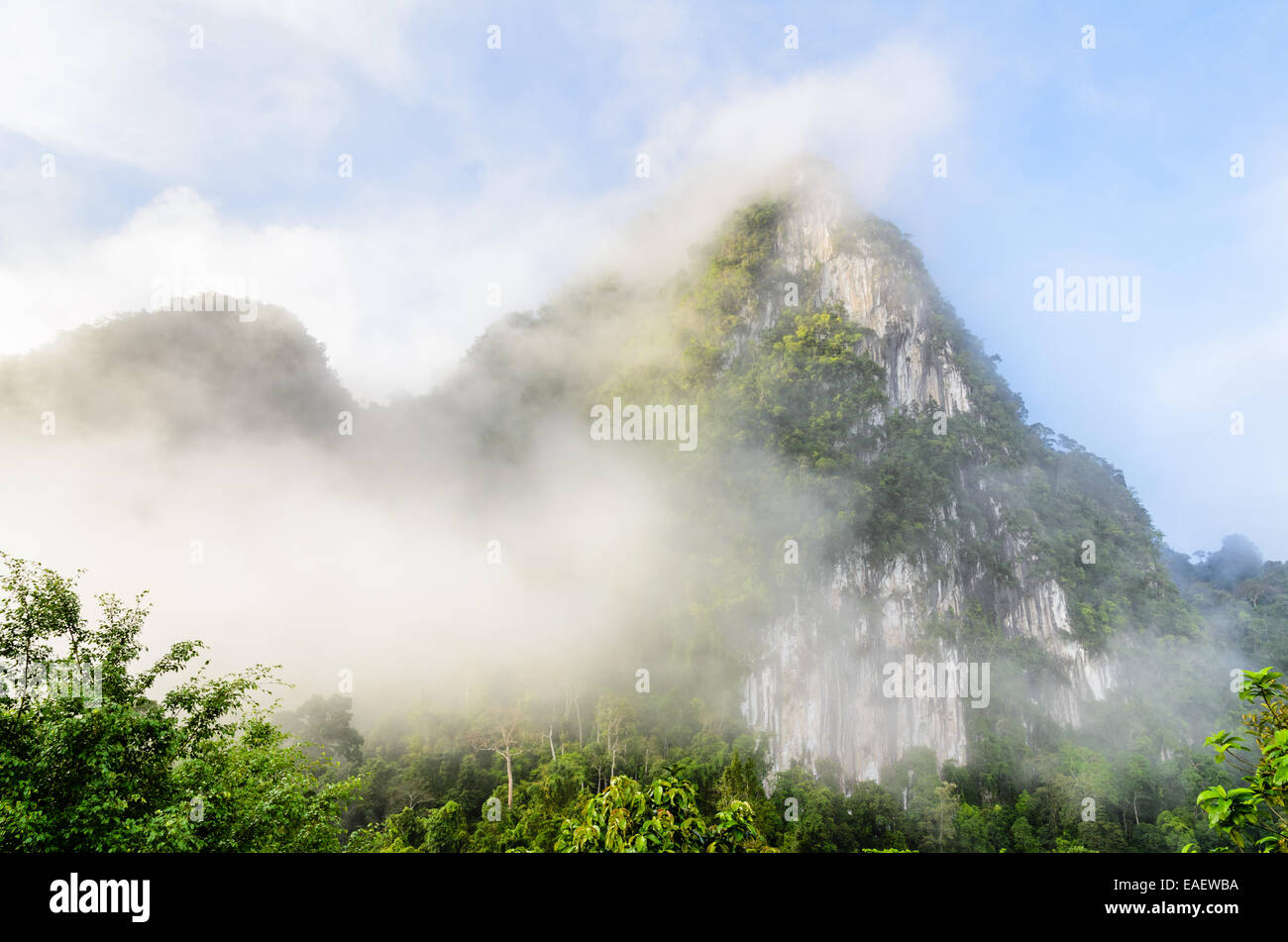 Lush high limestone mountain covered by mist surrounded by tropical ...
