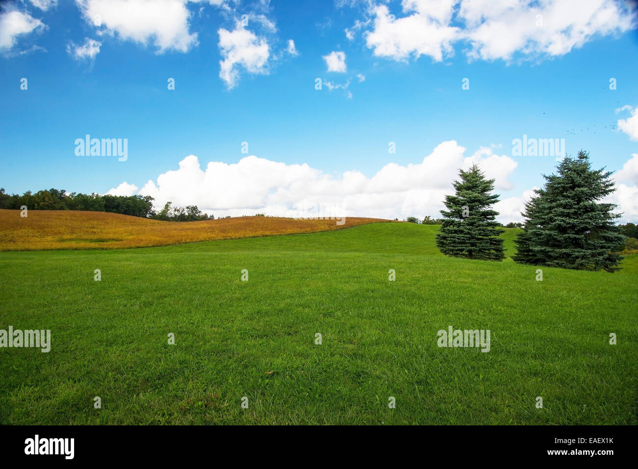 Rural landscape fields hill hills grassy hillside hi-res stock ...