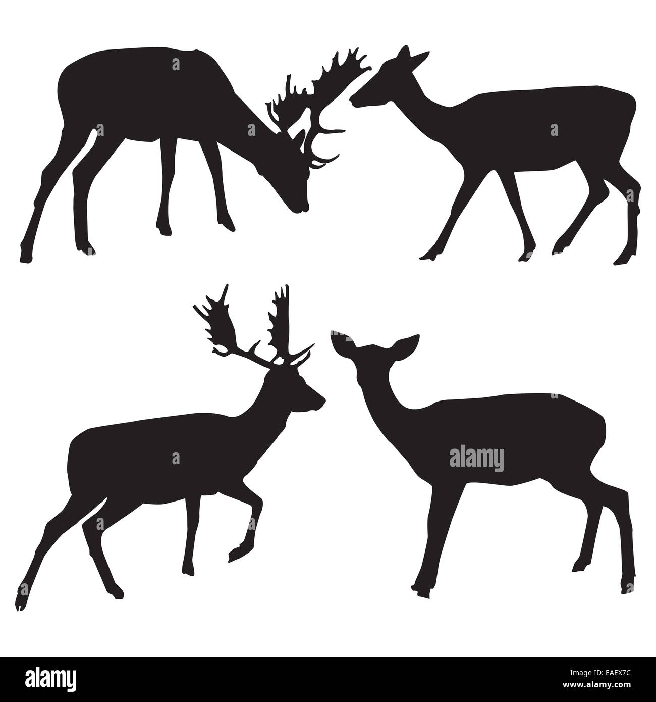 Female Deer Silhouettes