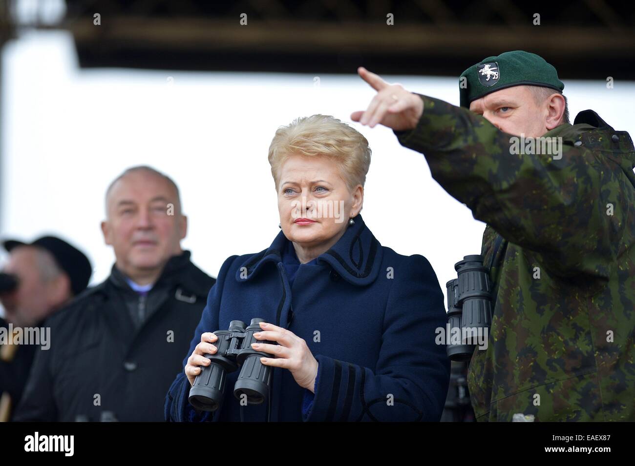 Vilnius, Lithuania. 13th Nov, 2014. Lithuanian President Dalia ...