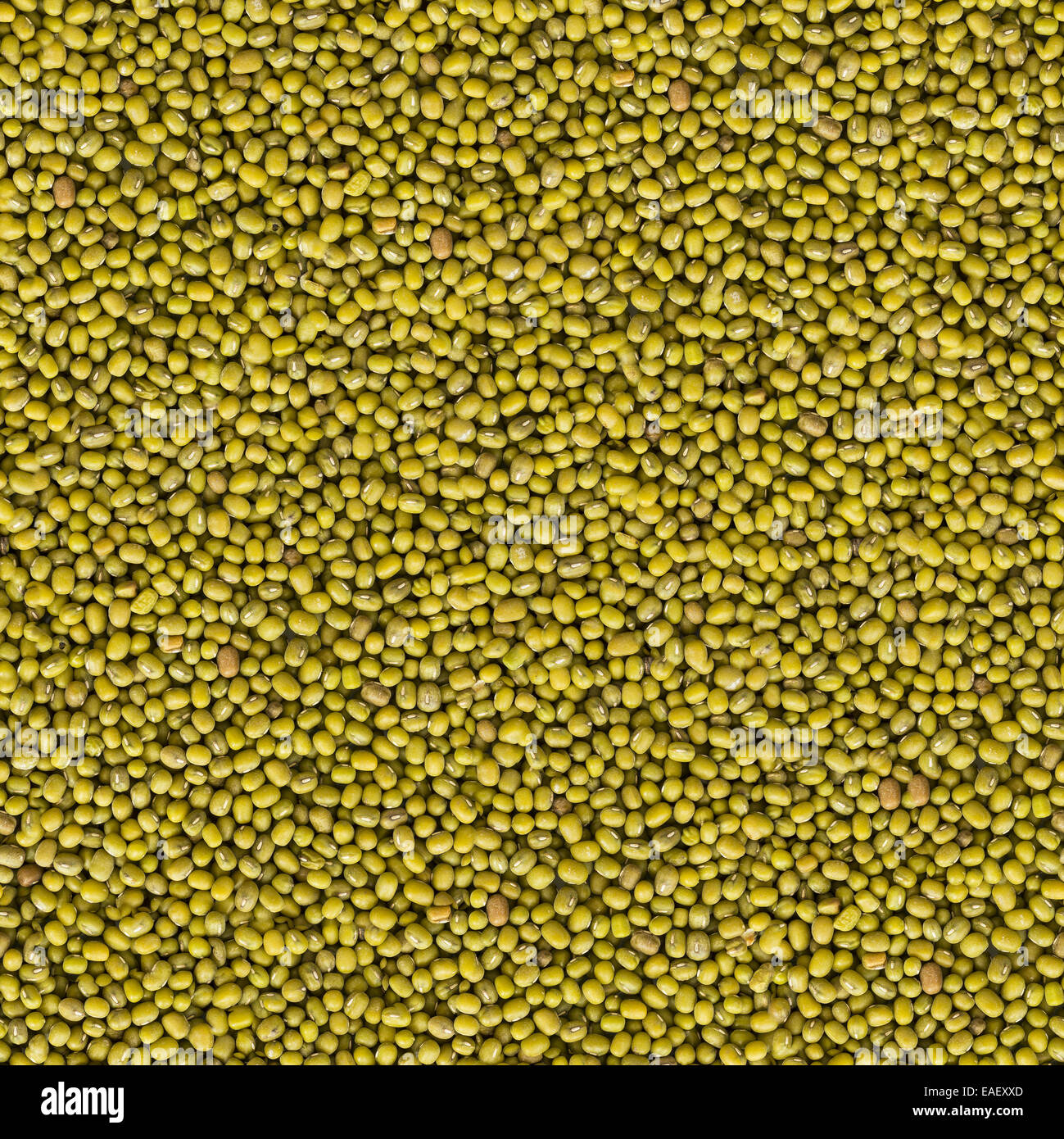 Mung Beans Close Up Background Stock Photo - Alamy