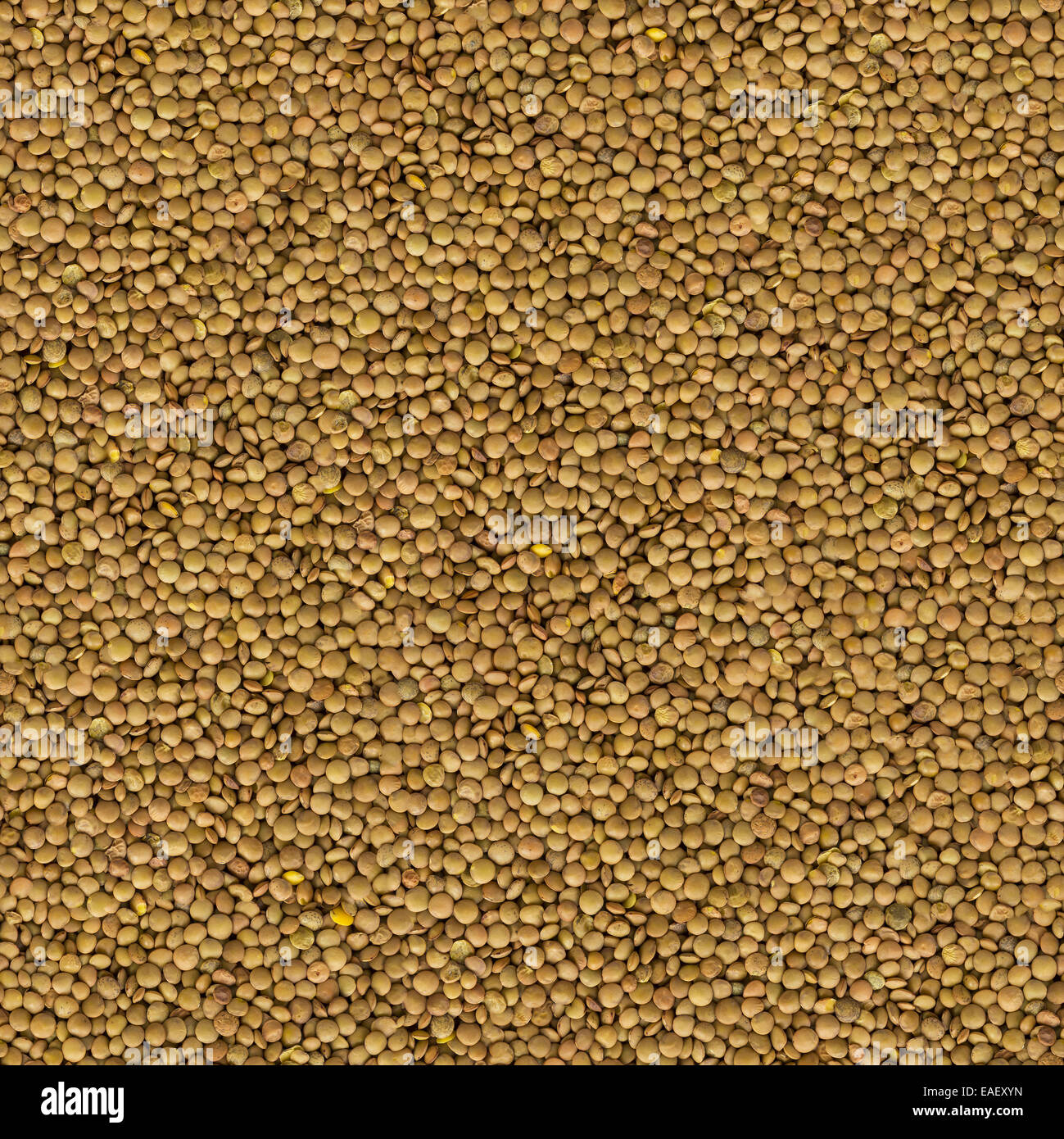 Brown Lentils Background. Seamless Texture Stock Photo - Alamy