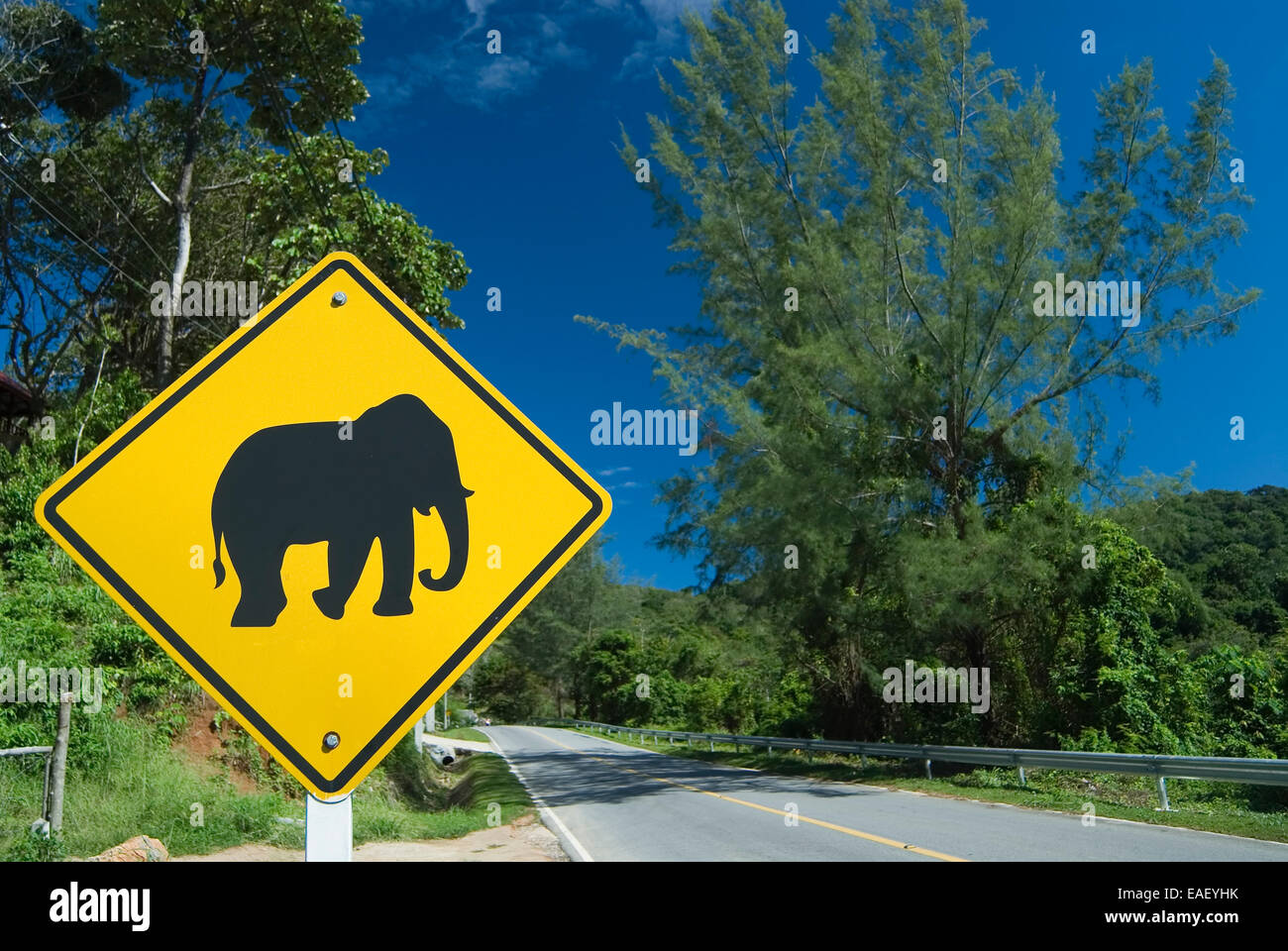 Yellow Elephant warning sign with blue sky Stock Photo - Alamy
