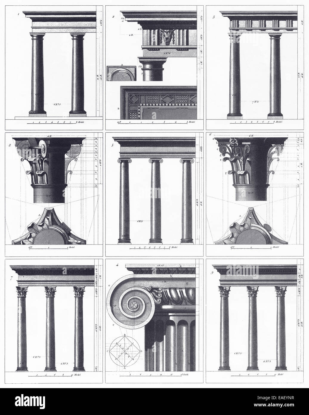 Engraving: Classical Columns Stock Photo - Alamy