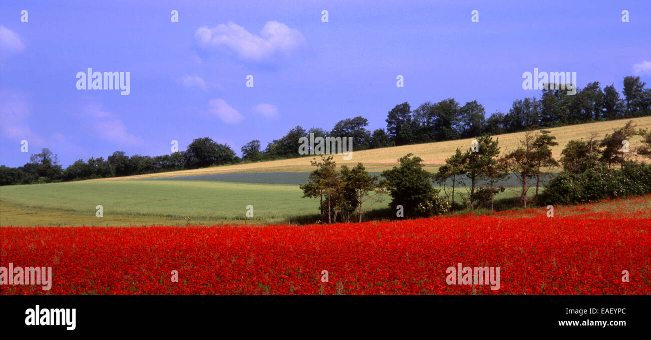 Beautiful kentish scene hi-res stock photography and images - Alamy