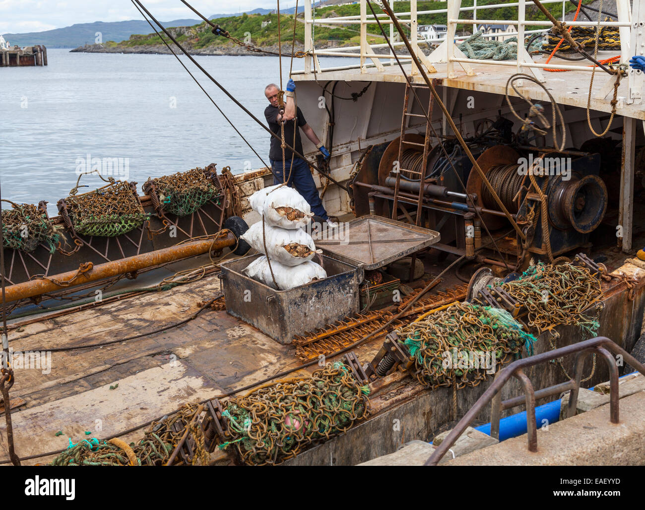 Scallops boat hi-res stock photography and images - Alamy