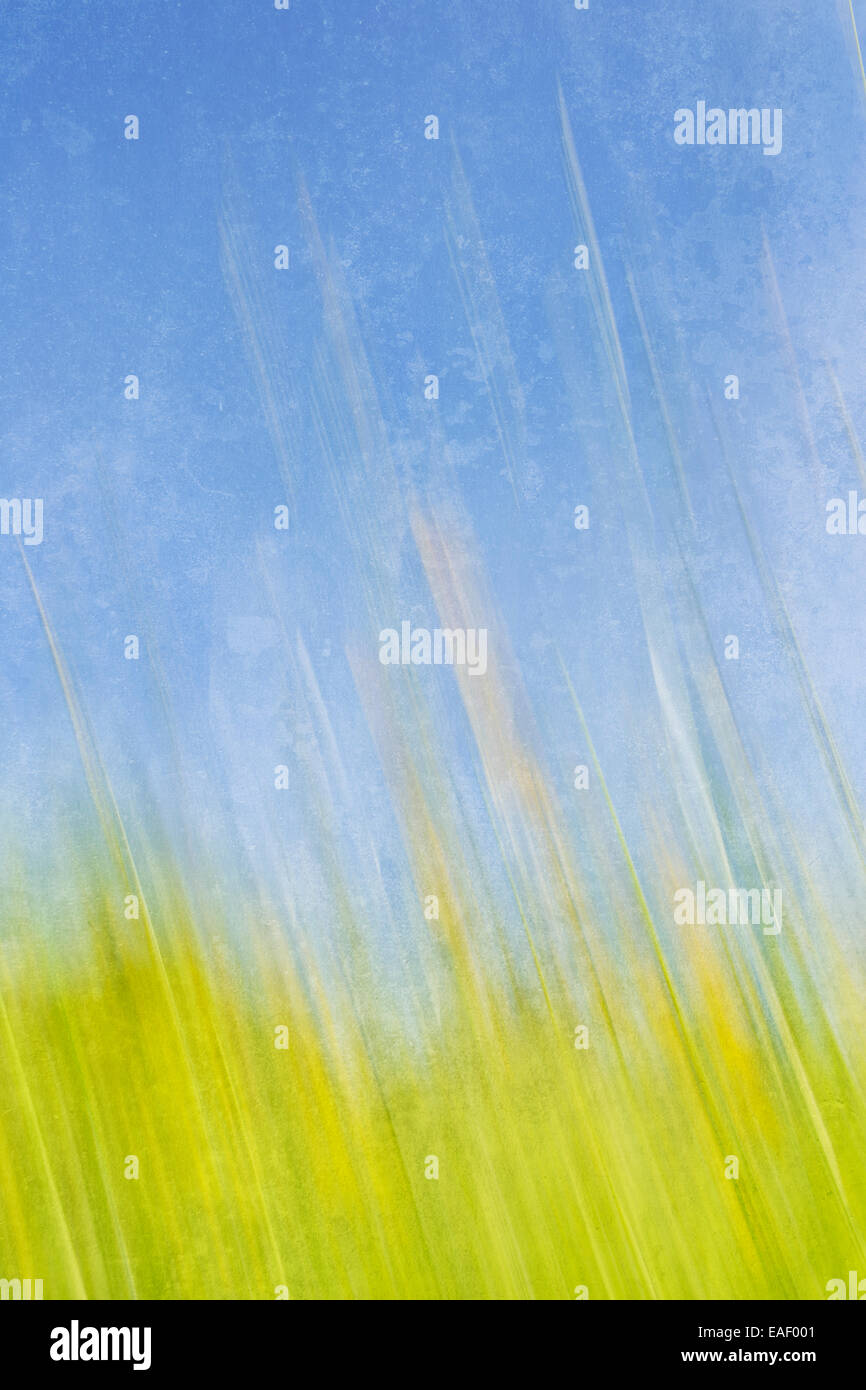 Motion movement hi-res stock photography and images - Alamy