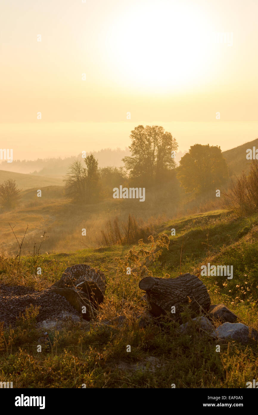 Early morning sun over summer countryside. Vertical Stock Photo - Alamy