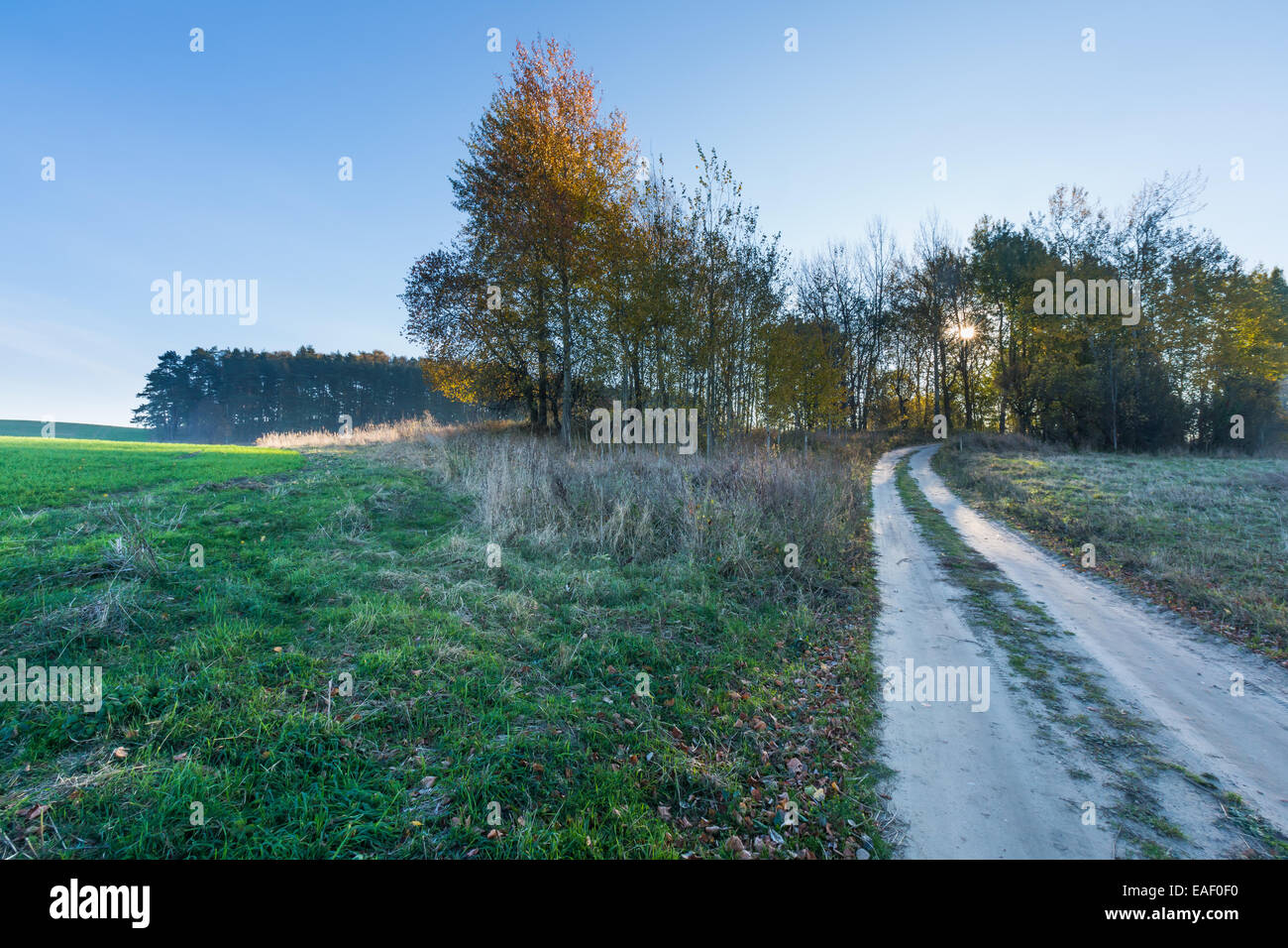 Sandy rural road near fields, typical polish viallage landscape Stock ...
