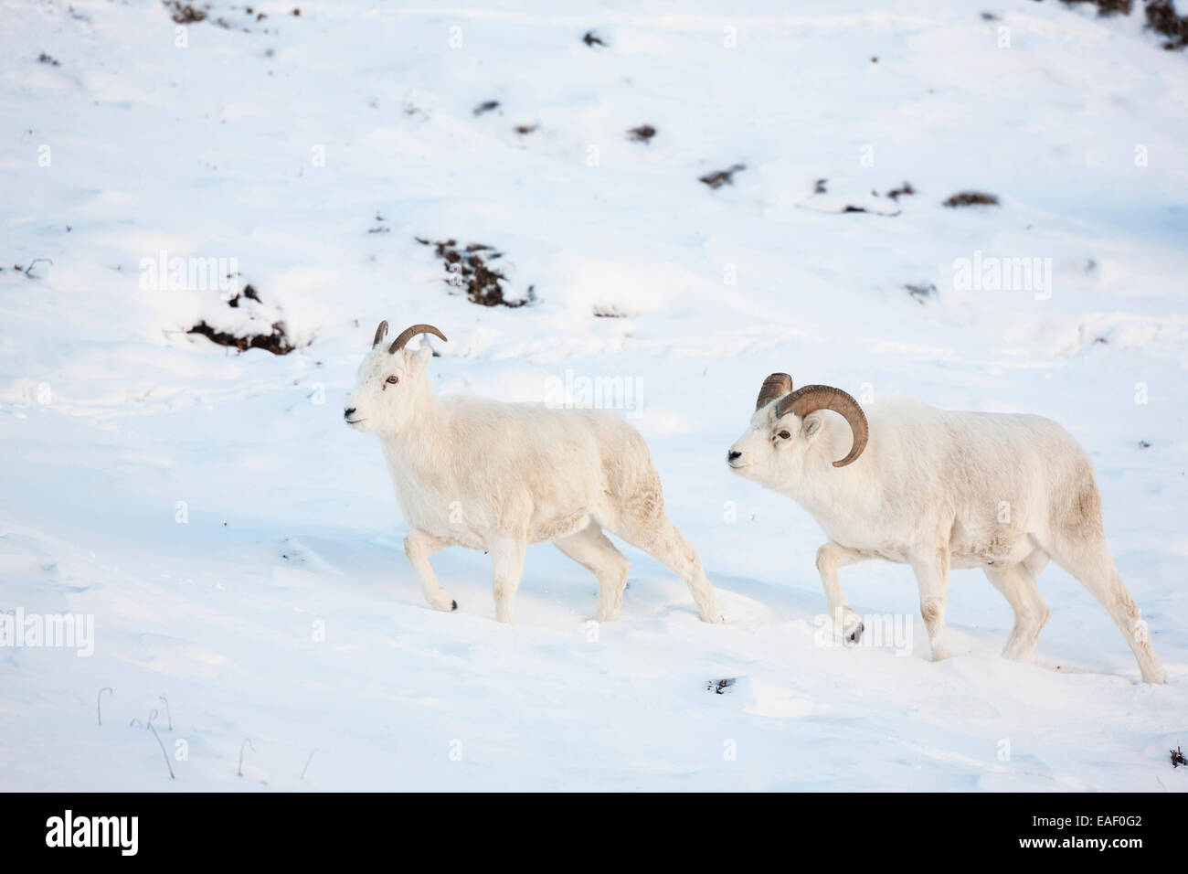 Alaska landmarks winter hi-res stock photography and images - Alamy