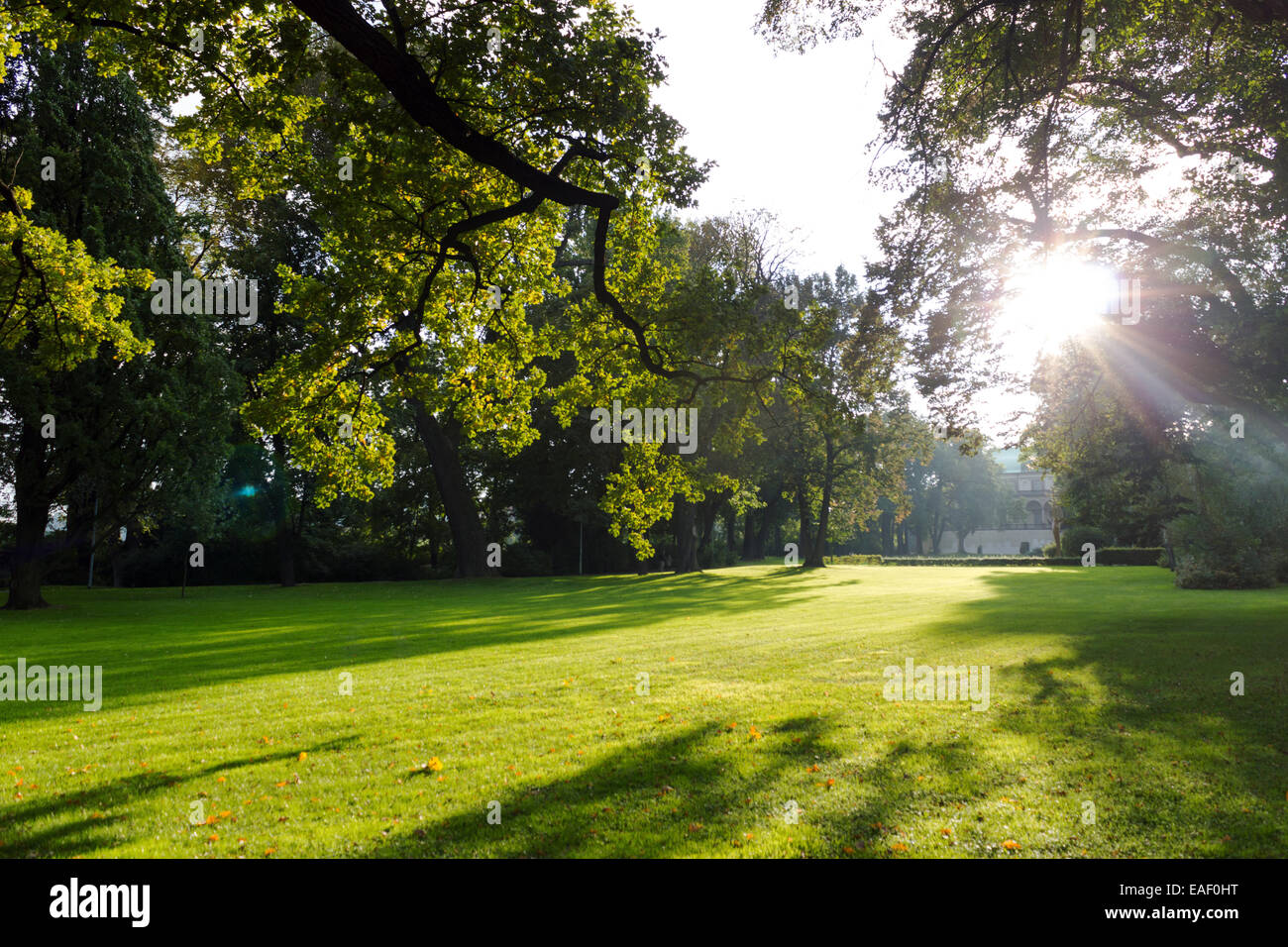 Green grass in summer park landscape in Prague Stock Photo - Alamy