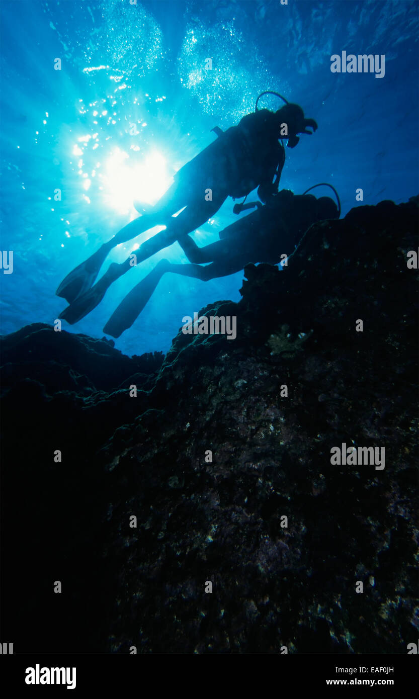 Scuba divers on a coral Reef Stock Photo - Alamy