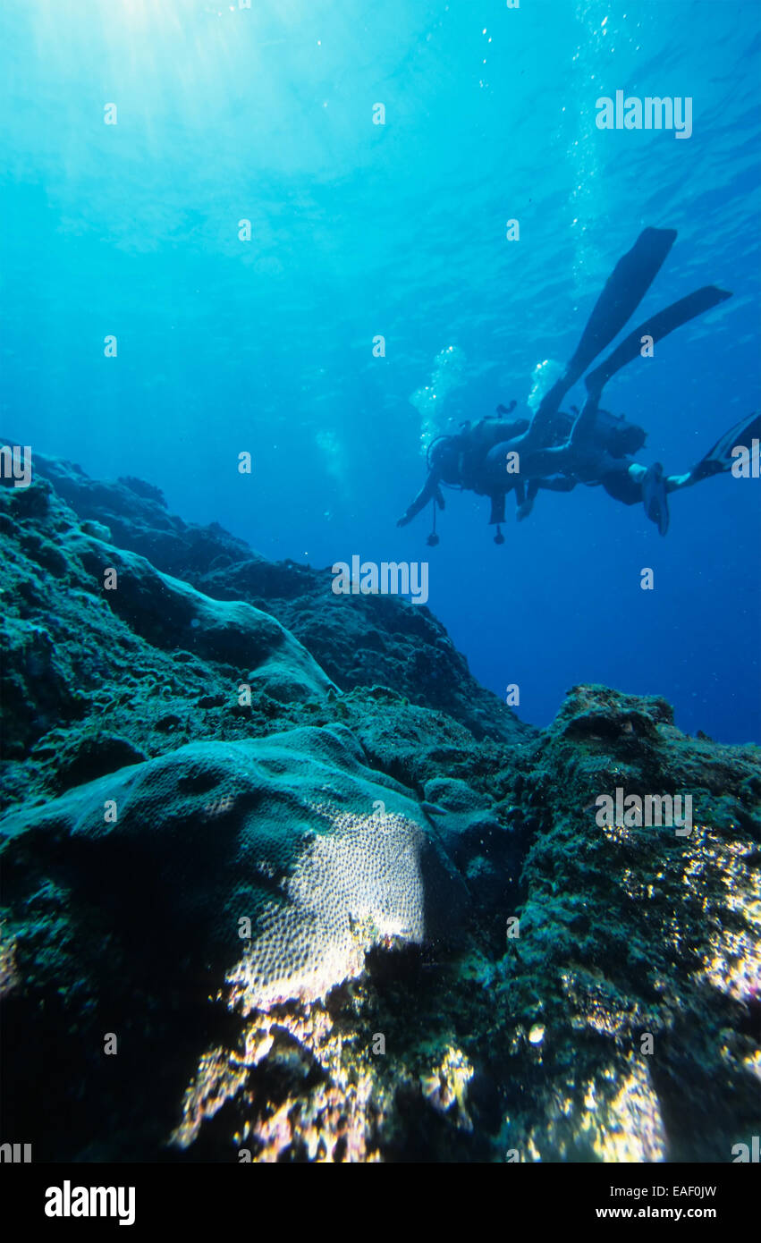Two divers exploring a coral reef Stock Photo - Alamy
