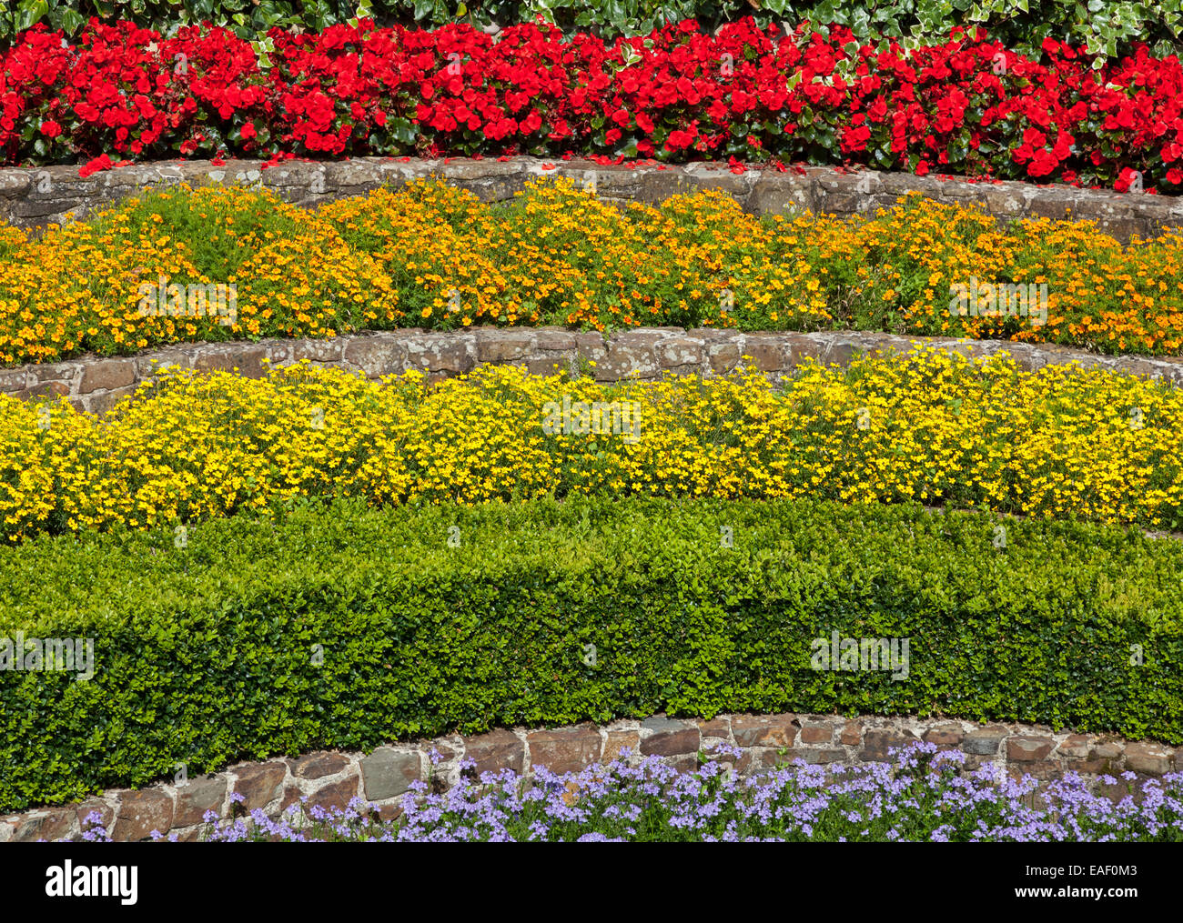 Flower borders hi-res stock photography and images - Alamy