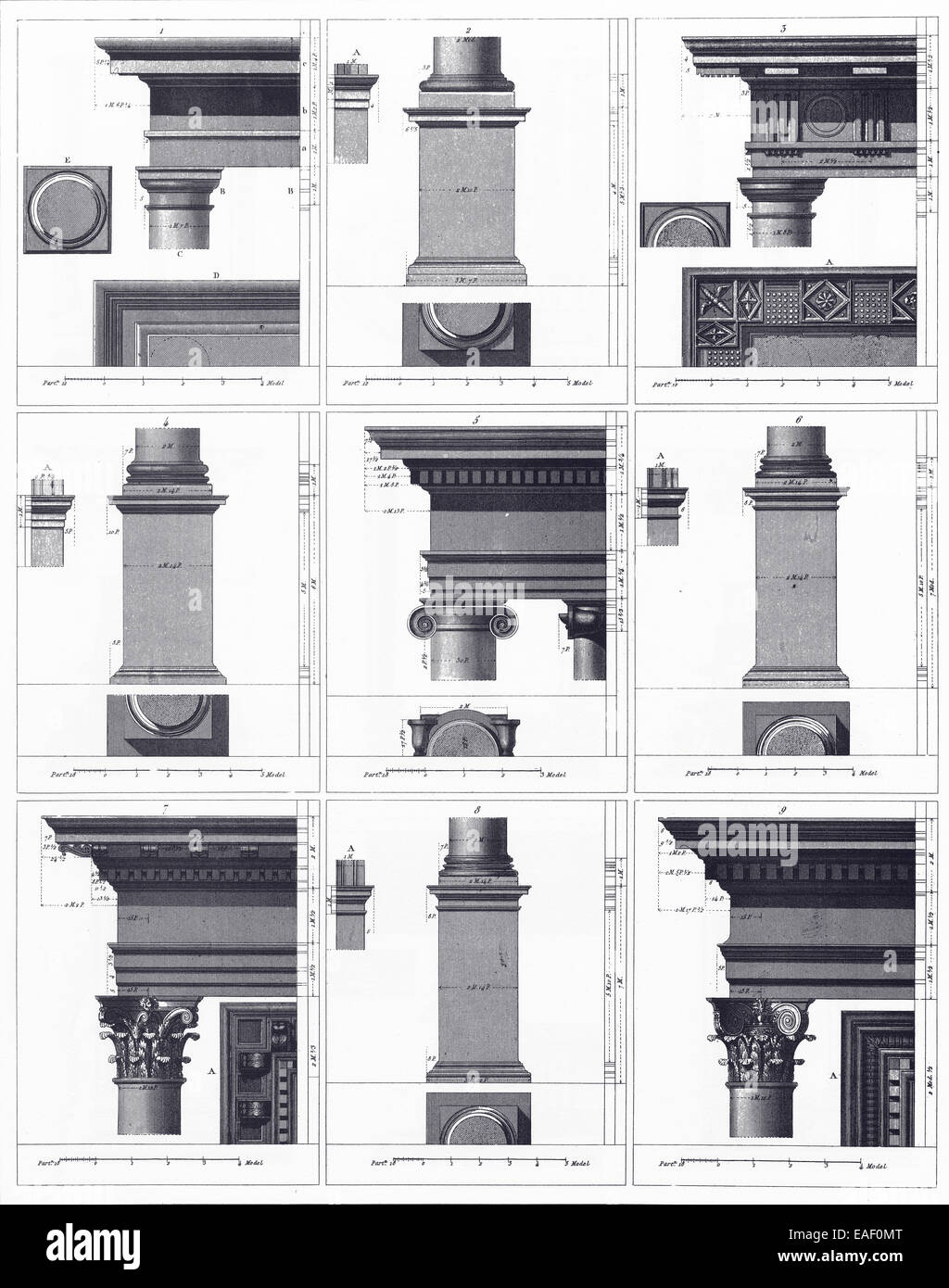 Diagram of doric columns hi-res stock photography and images - Alamy