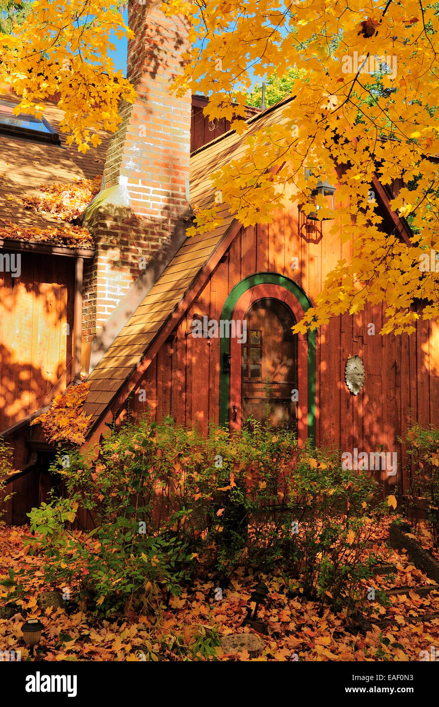 Autumn Norway Maple blooming in front of cottage. (Acer platanoides ...