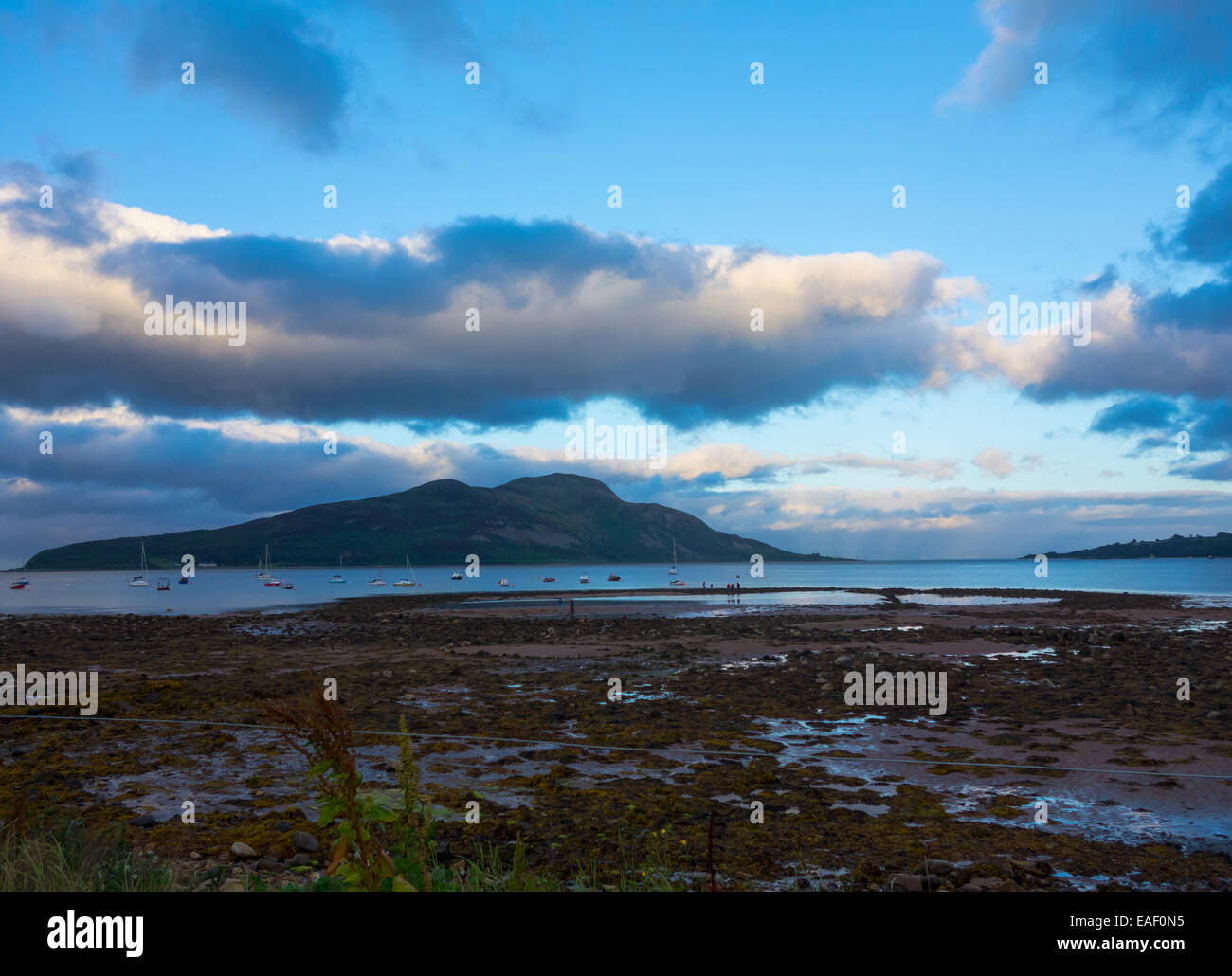 Holy Isle - Arran Stock Photo - Alamy