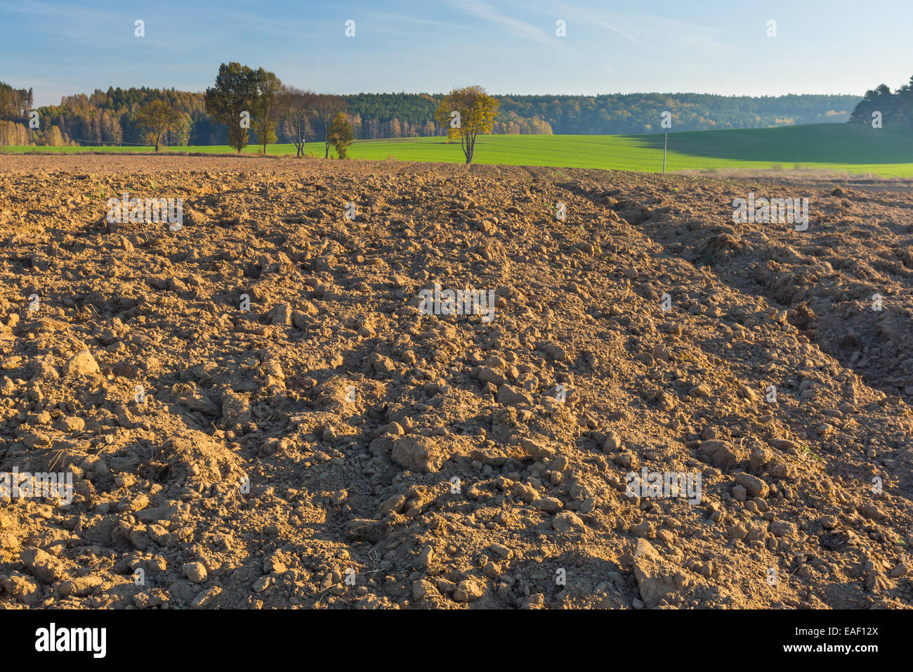 Plowed field under blue sky landscape Stock Photo - Alamy