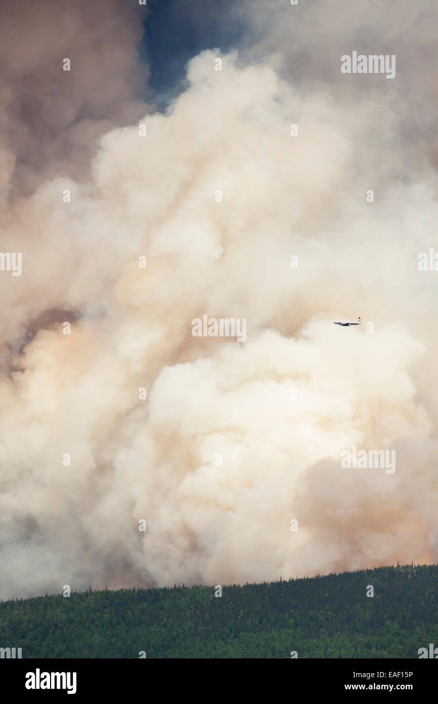 Boreal forest fire alaska hi-res stock photography and images - Alamy