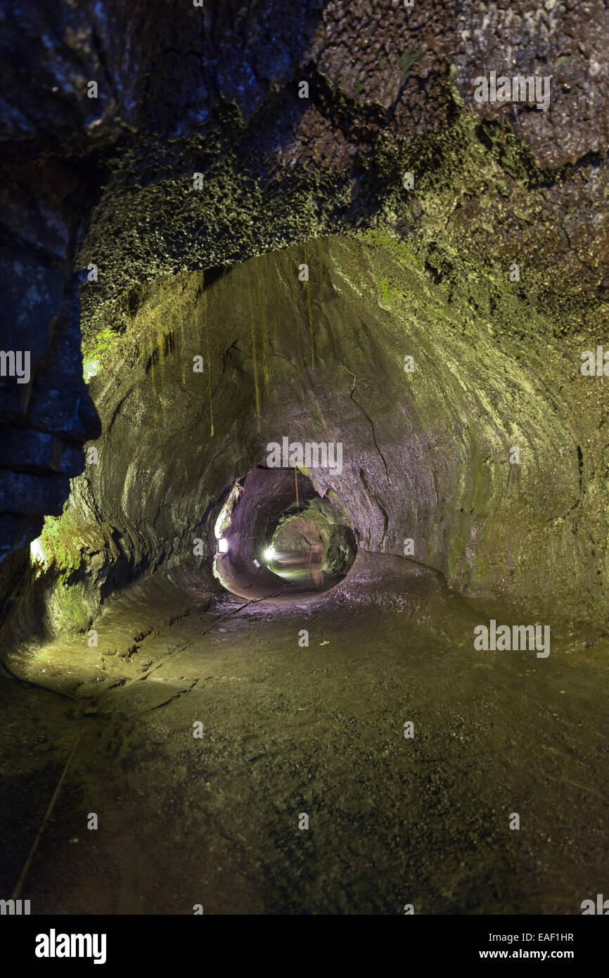 Thurston Lava Tube, Hawaii, USA Stock Photo - Alamy