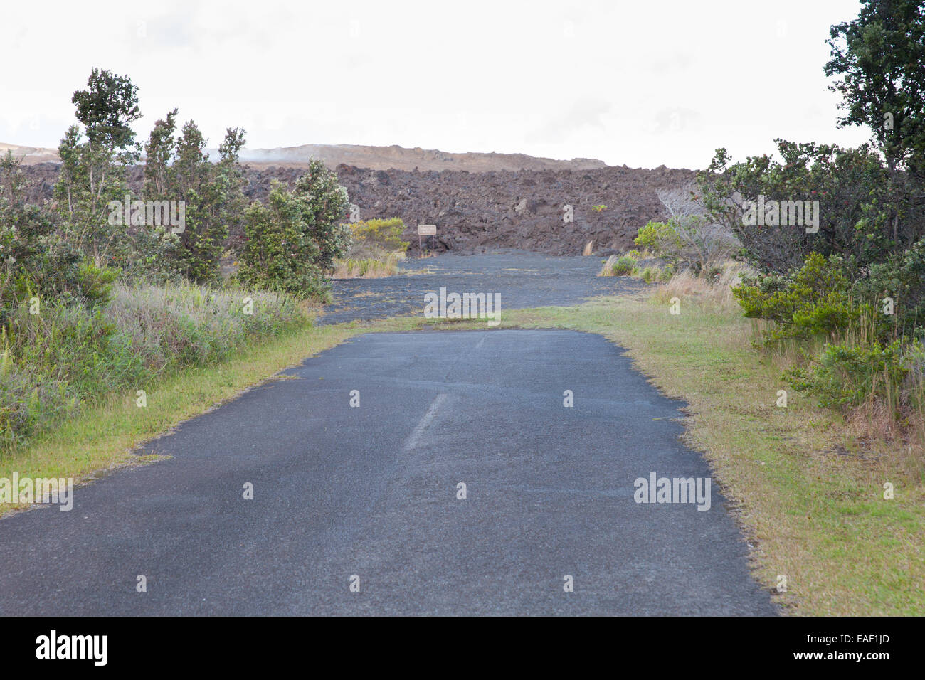 Lava crossing road in Hawaii Volcanos national Park Hawaii USA Stock ...