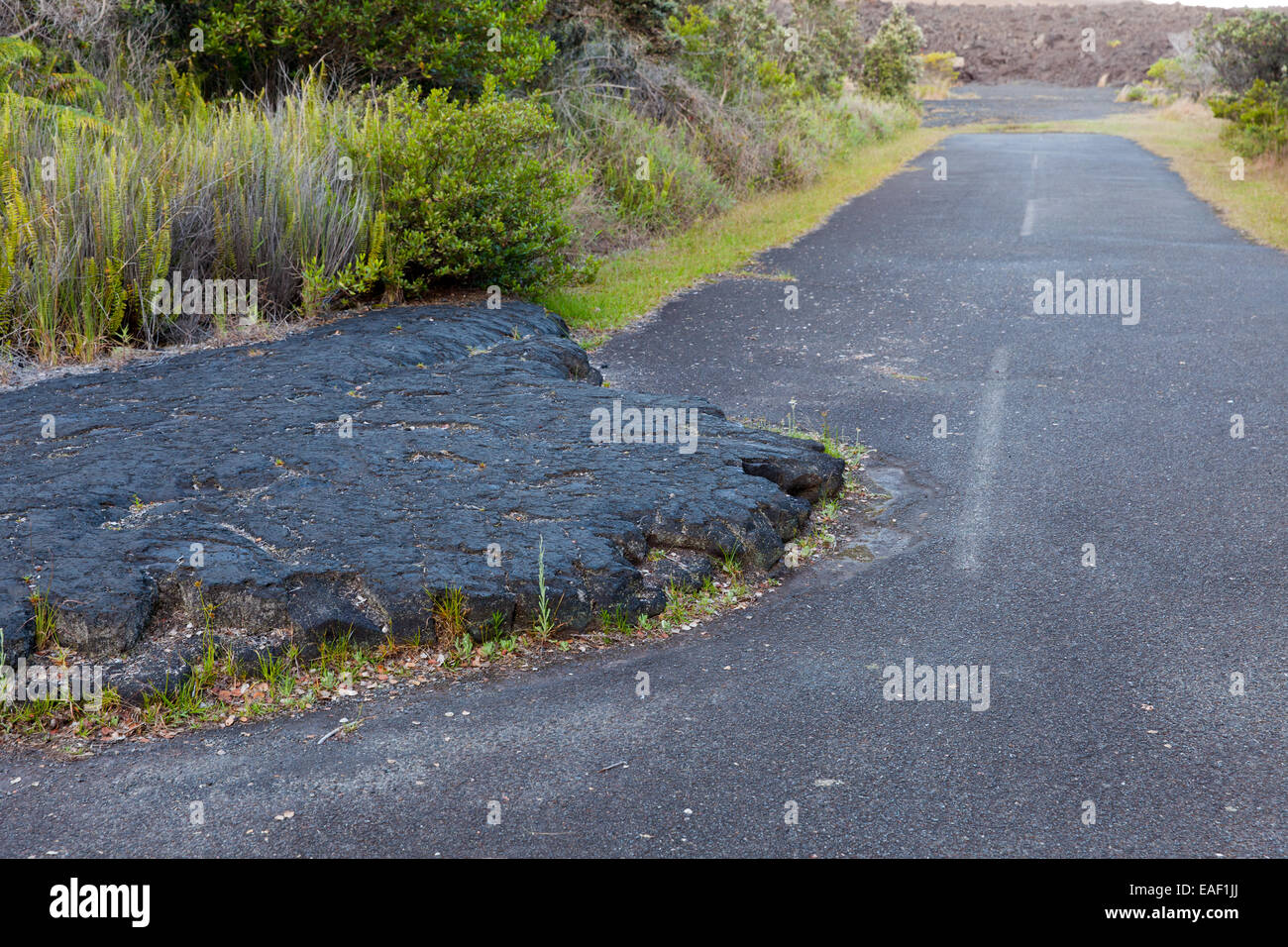 Lava crossing road in Hawaii Volcanos national Park Hawaii USA Stock ...