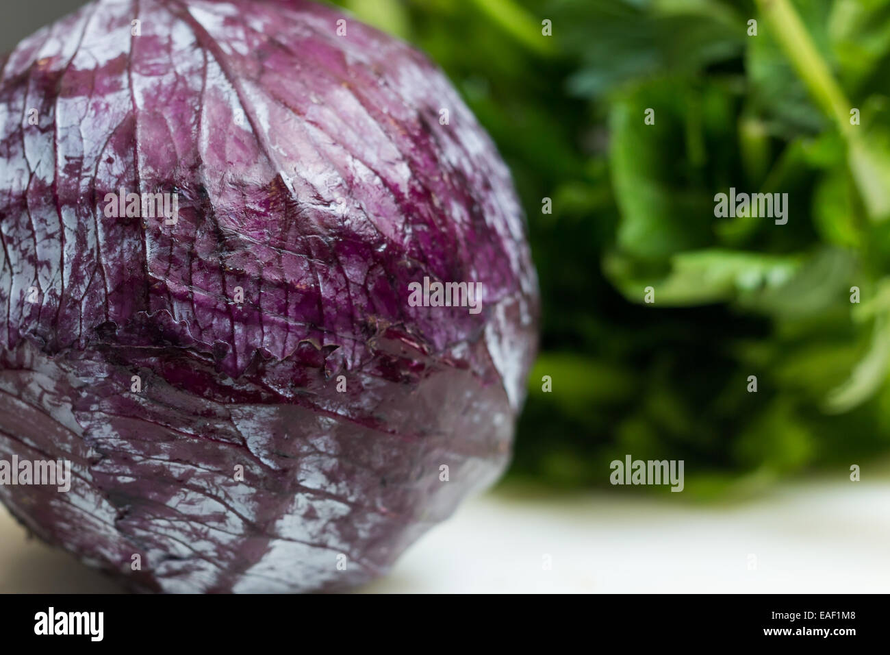 Whole red cabbage with shallow depth of fied Stock Photo - Alamy