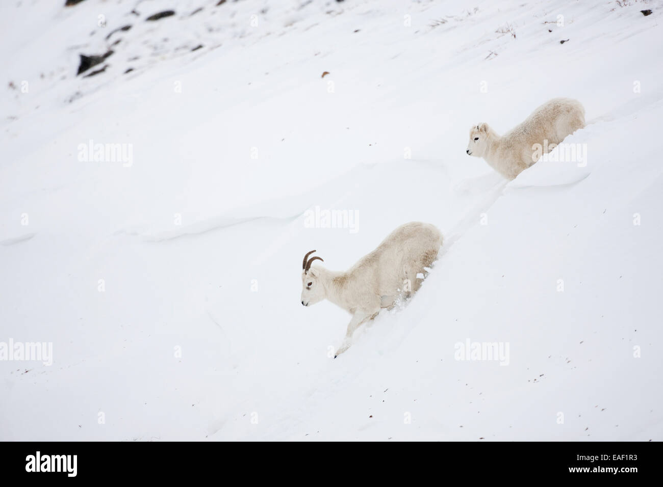 Alaska landmarks winter hi-res stock photography and images - Alamy