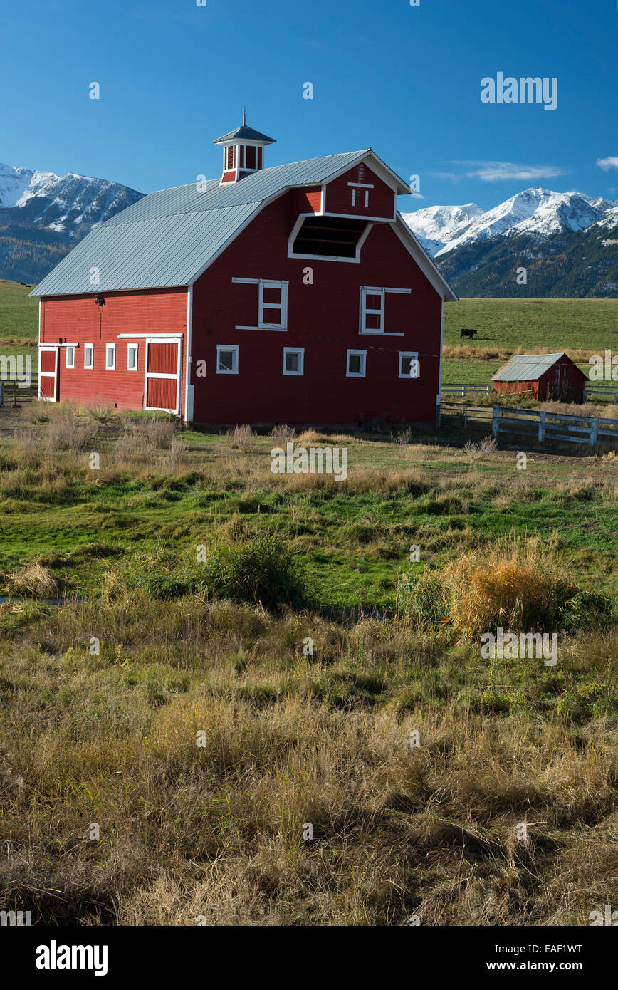 Barn and grazing cows on a farm in Oregon's Wallowa Valley Stock Photo ...