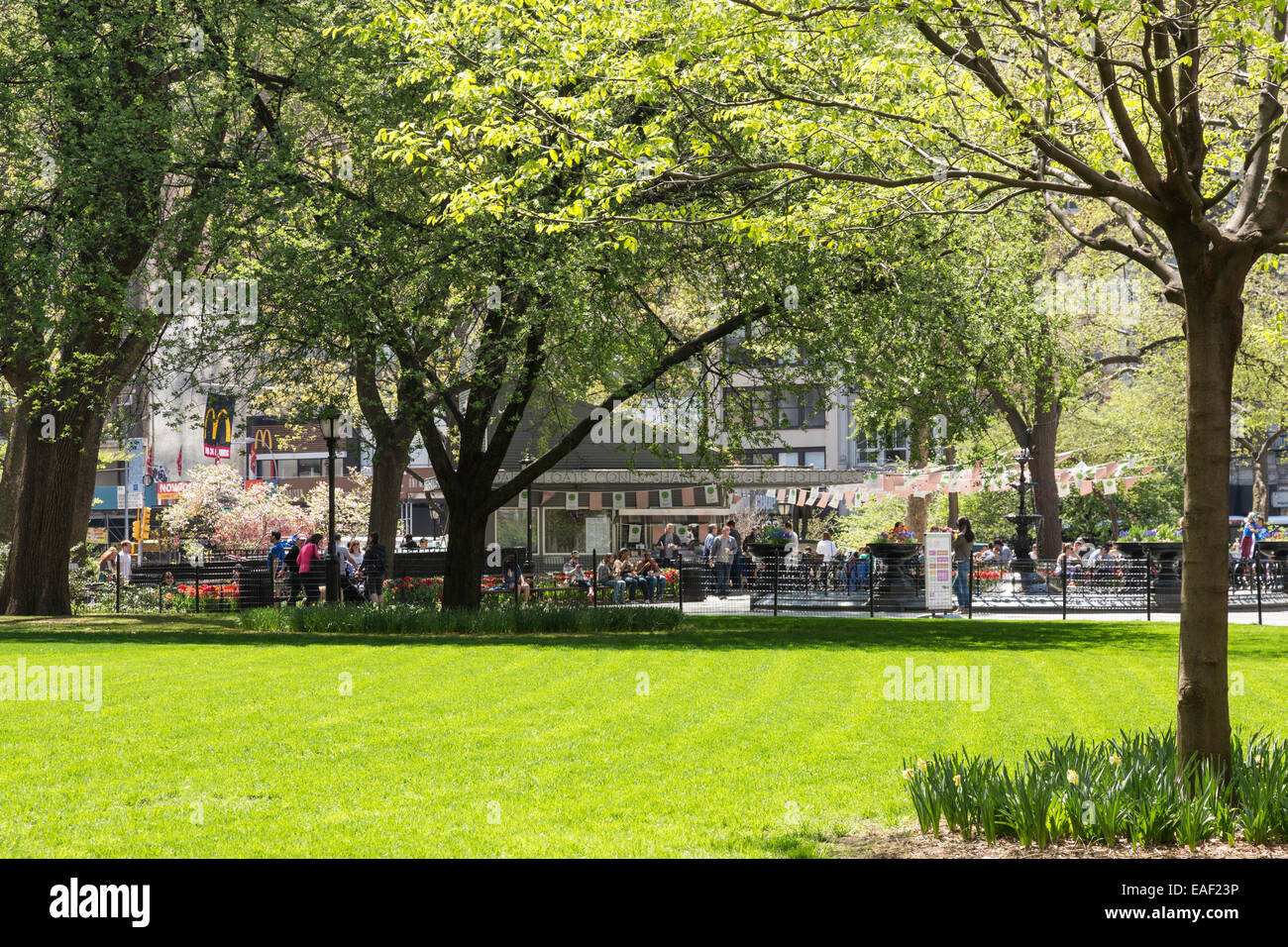 Oval Lawn, Madison Square Park, NYC Stock Photo - Alamy