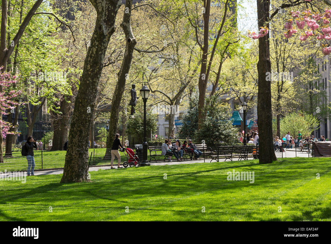 Spring park green lawn trees hi-res stock photography and images - Alamy