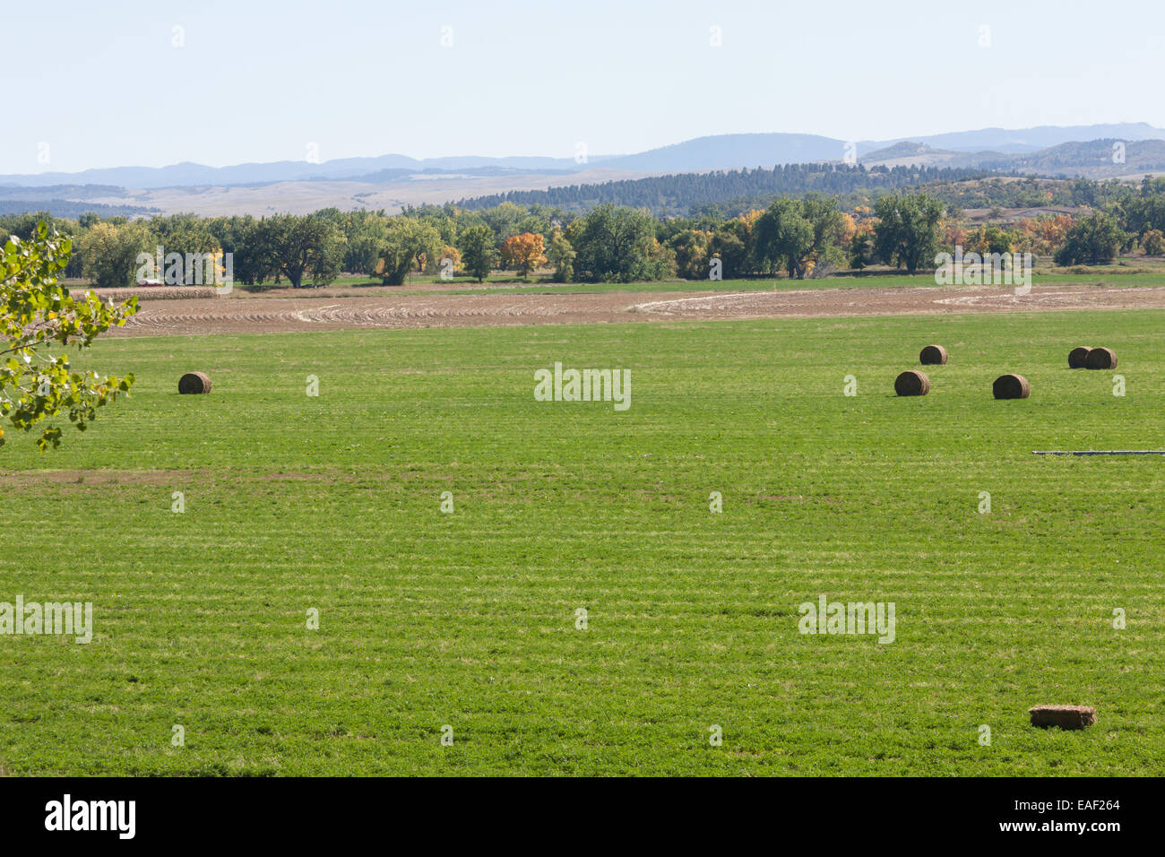 Pasture in Rural South Dakota, USA Stock Photo - Alamy