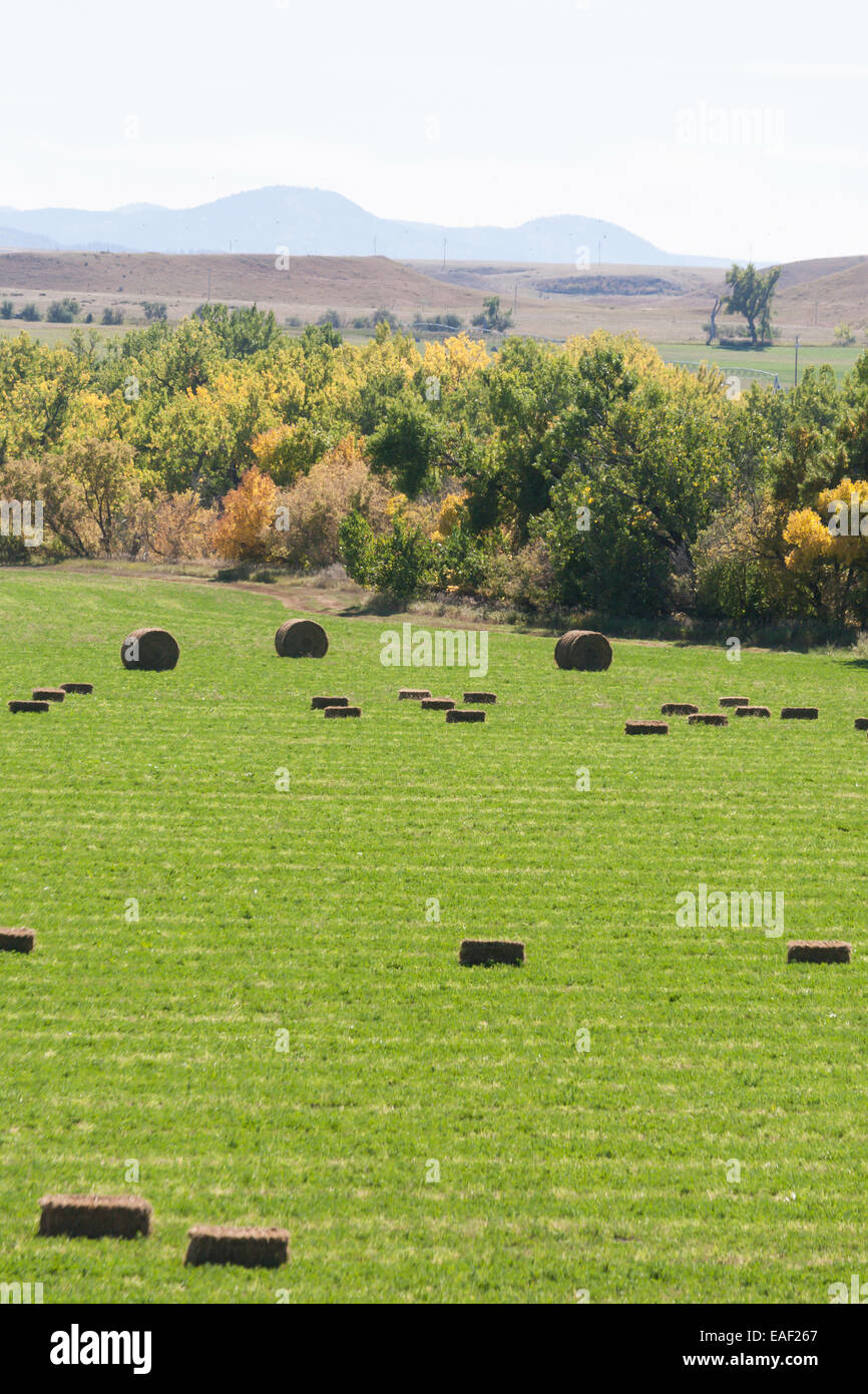 Farming in dakota hi-res stock photography and images - Alamy