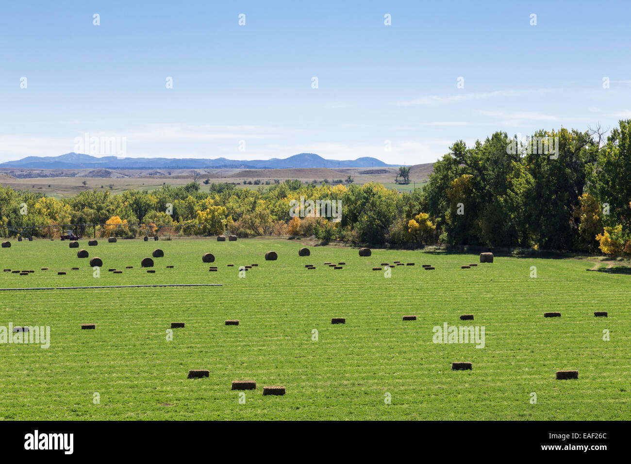 North dakota farmland hi-res stock photography and images - Alamy